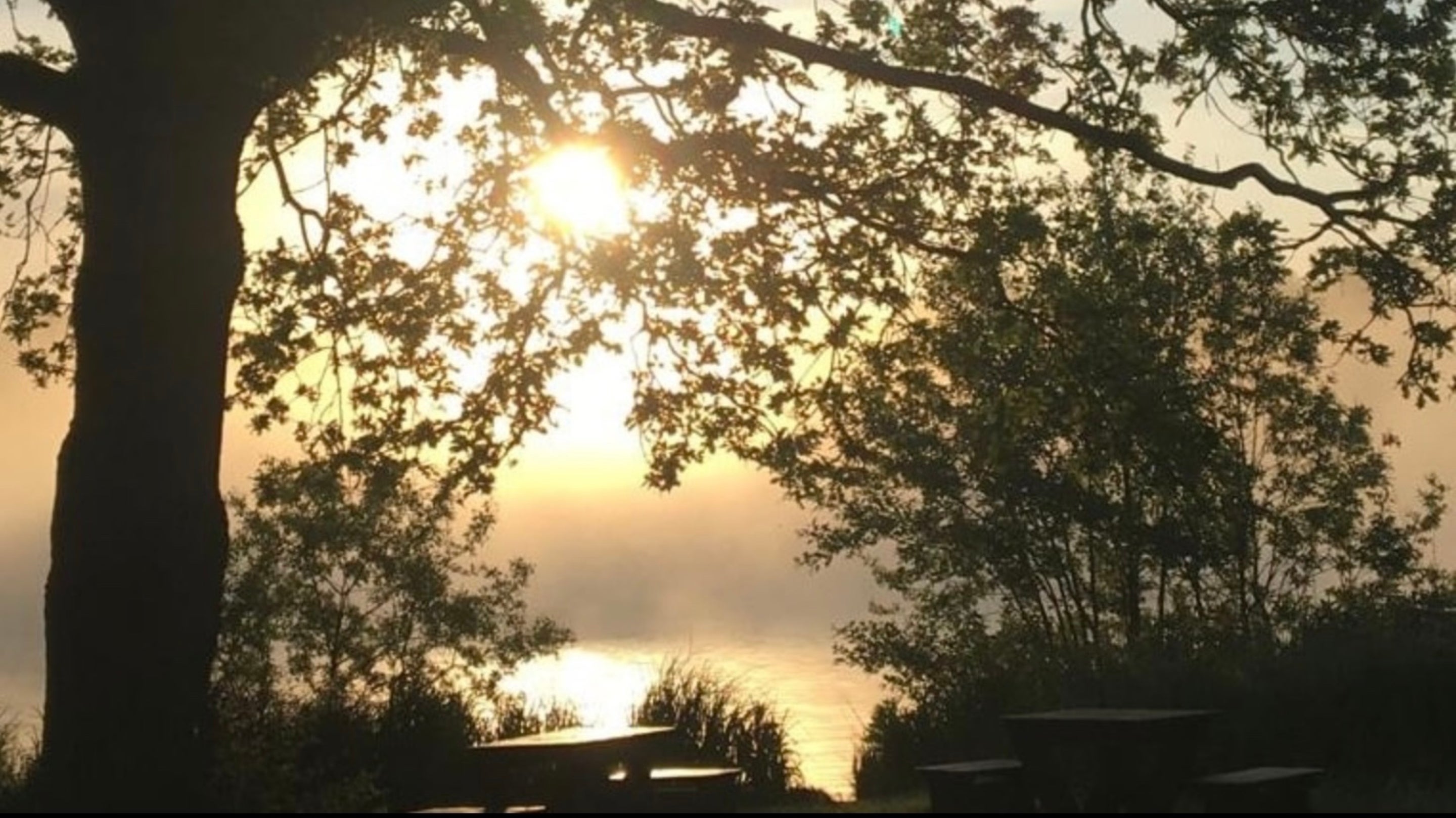 Hatfield Forest | Essex | National Trust