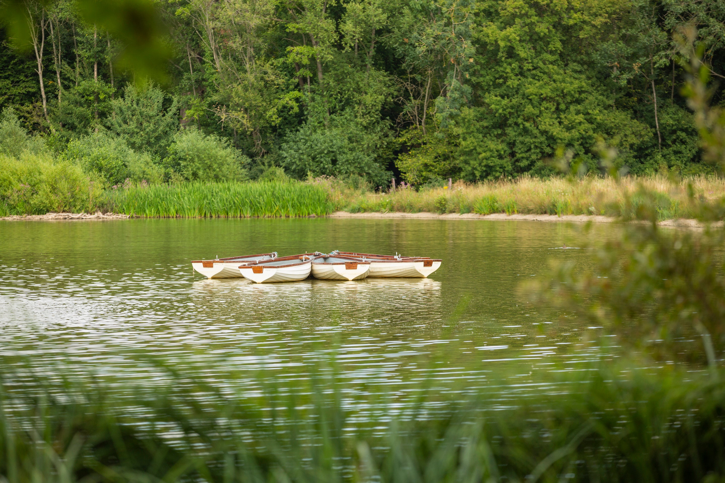Hatfield Forest | Essex | National Trust