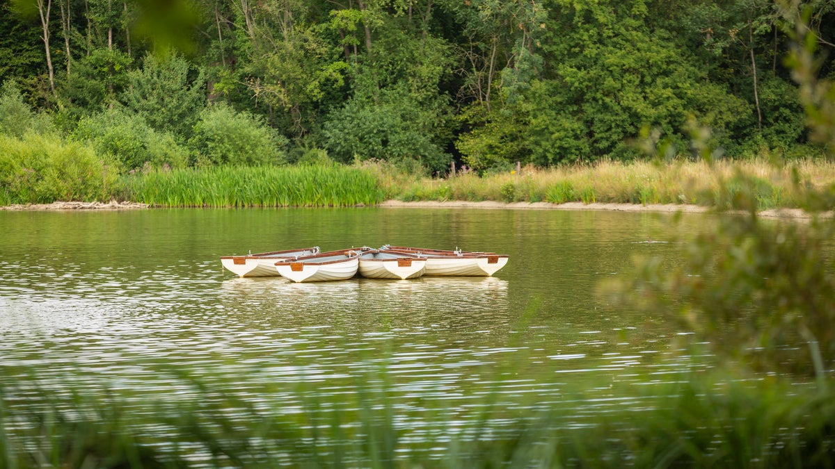 Hatfield Forest | Essex | National Trust