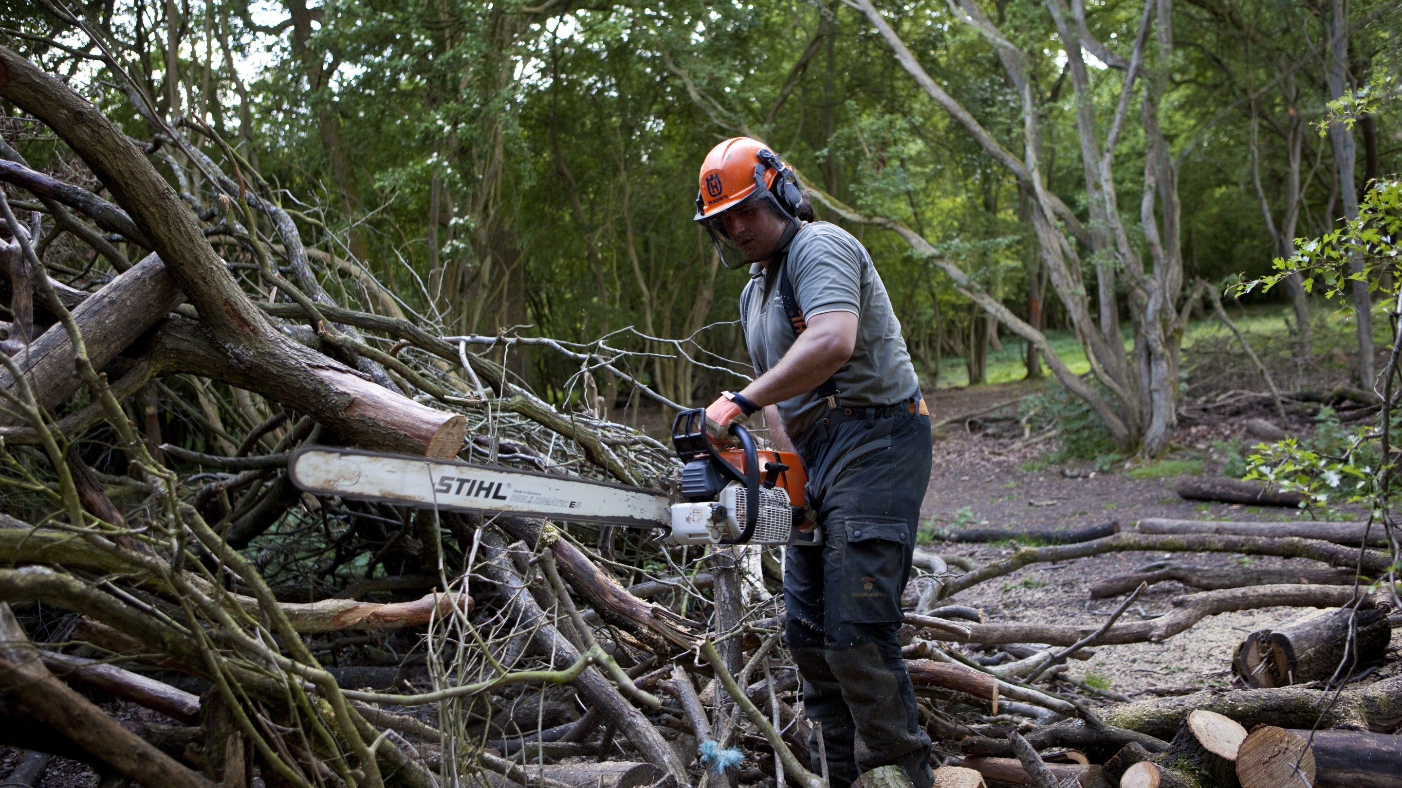 Discover Hatfield Forest | Essex | National Trust
