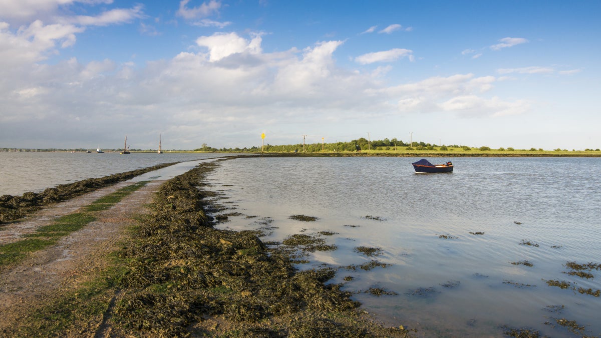 Northey Island coastal adaptation project | National Trust