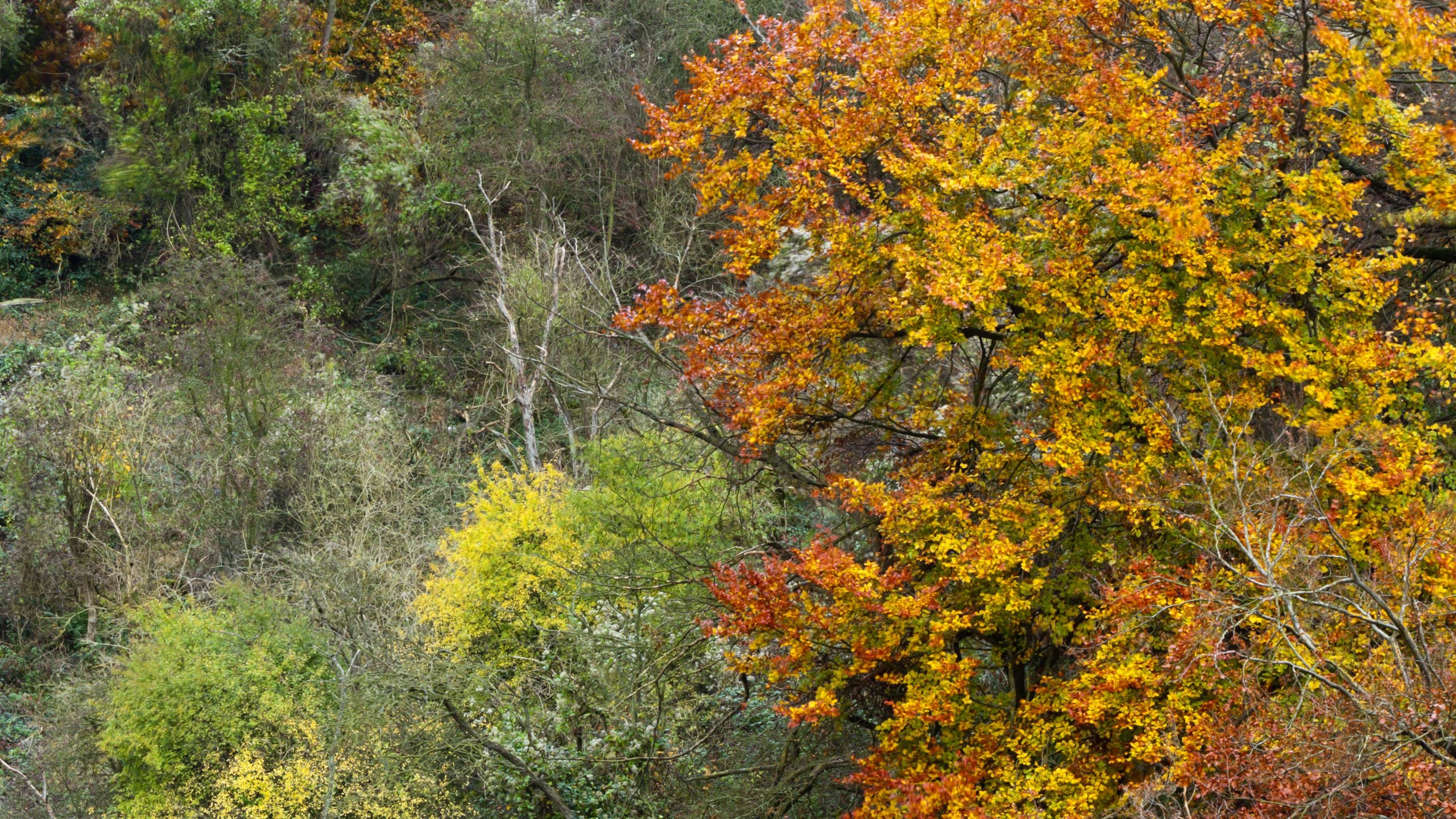 Countryside in Essex, Bedfordshire & Herts | National Trust