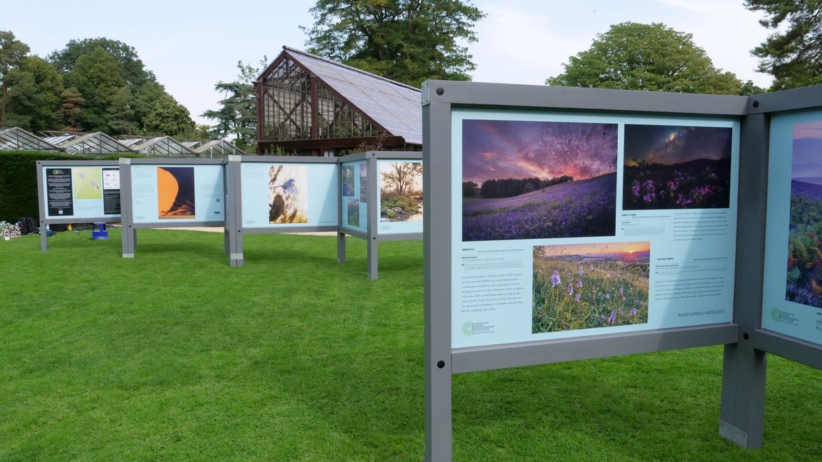 Exhibitions at | Hidcote | National Trust