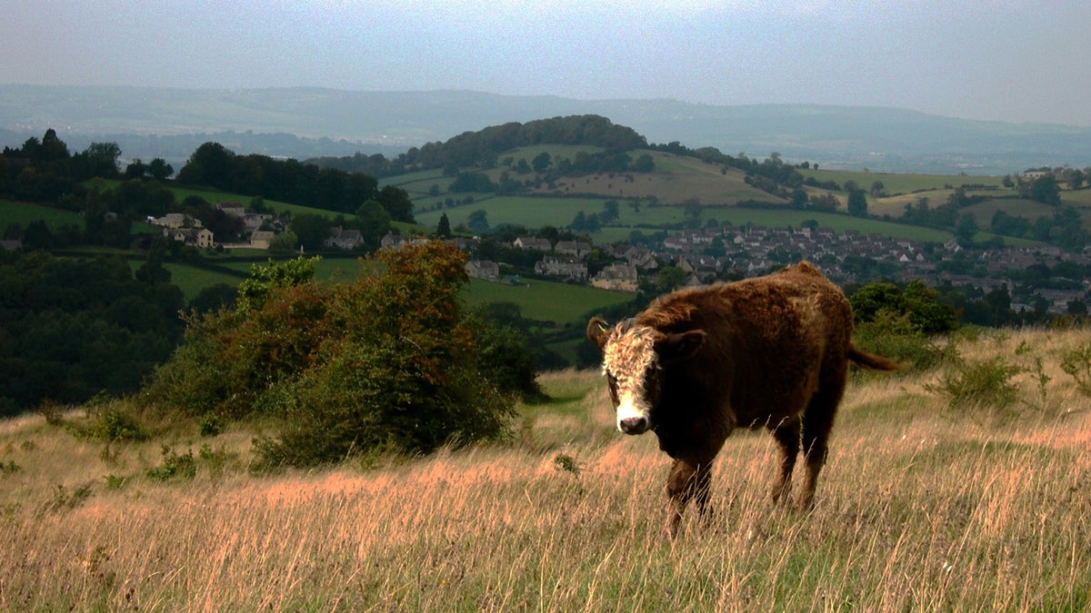 Rodborough Fort walk | Gloucestershire | National Trust