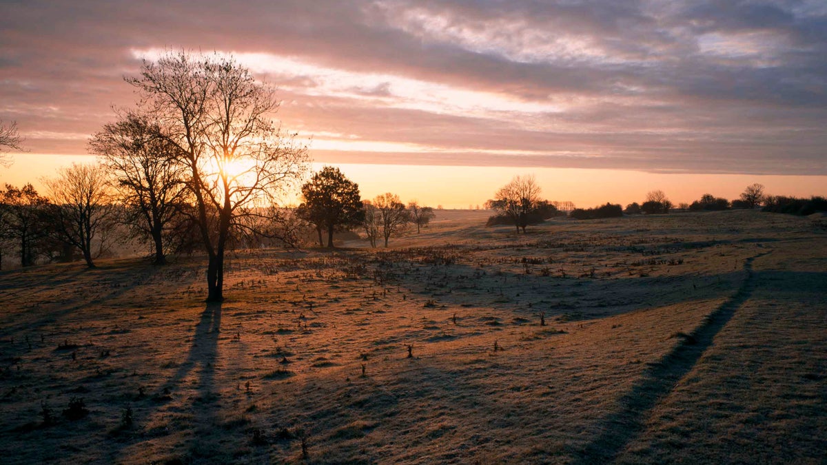 Minchinhampton & Rodborough Commons |Gloucs | National Trust