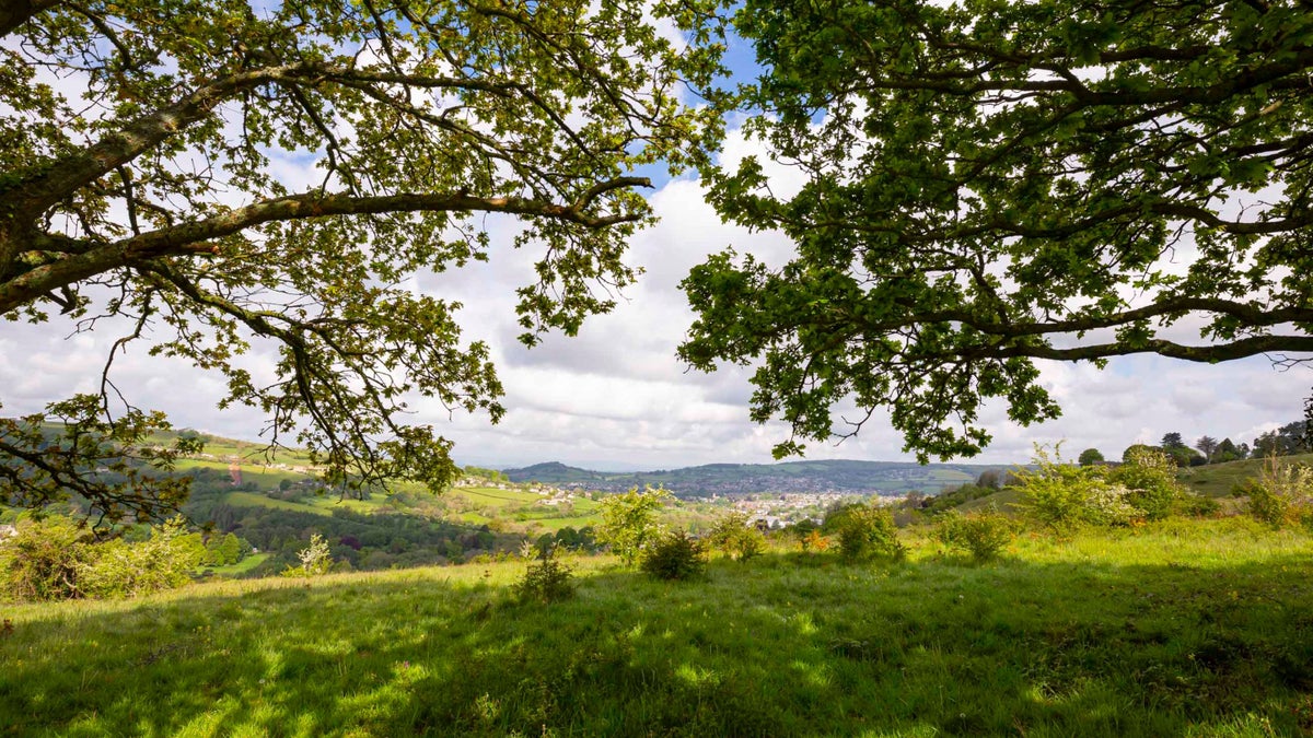 Minchinhampton & Rodborough Commons | National Trust