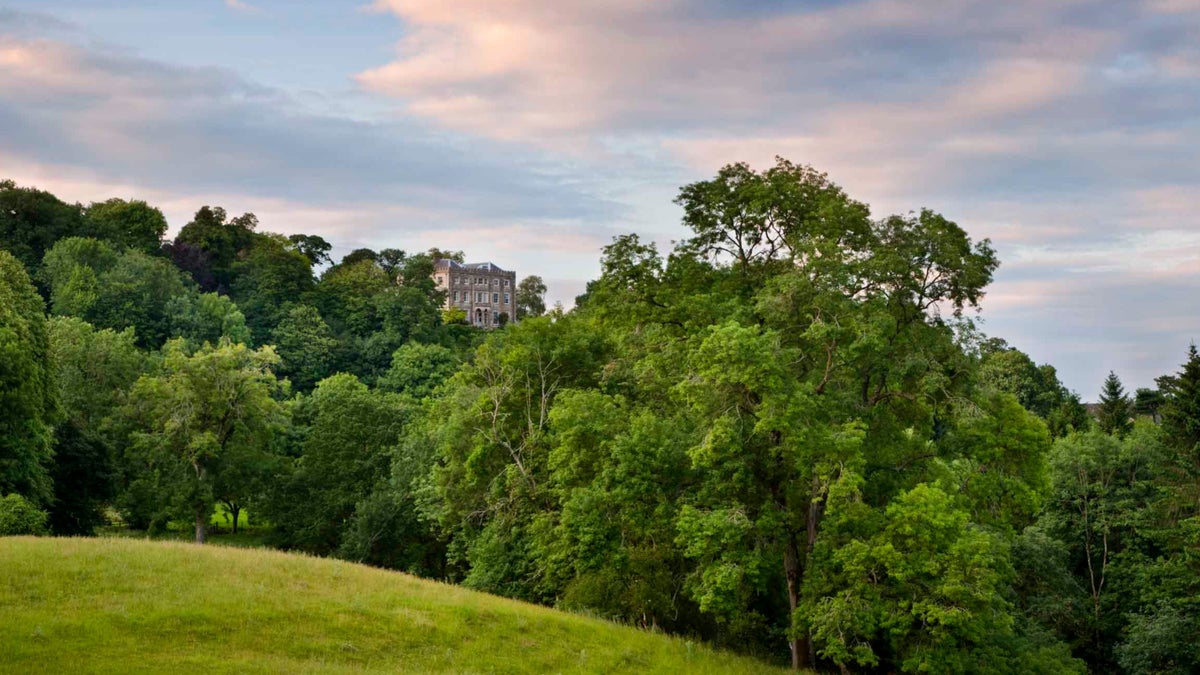 Things to do in Newark Park's garden| Glos | National Trust