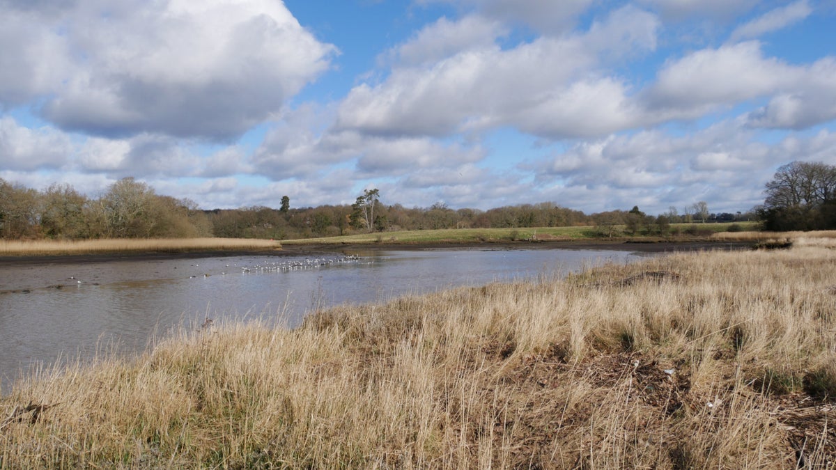 Curbridge Nature Reserve | Hampshire | National Trust