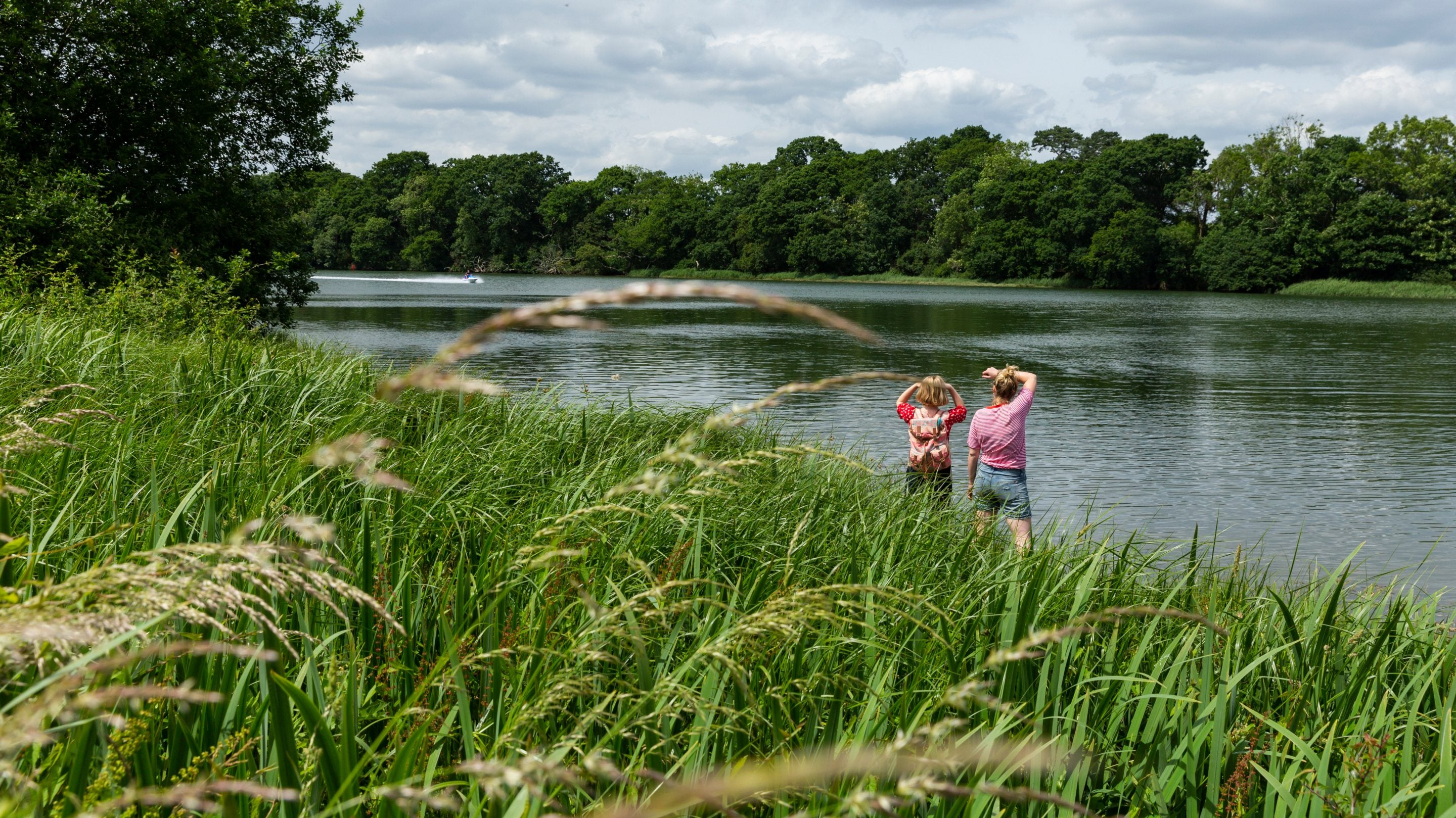 Curbridge Nature Reserve | Hampshire | National Trust