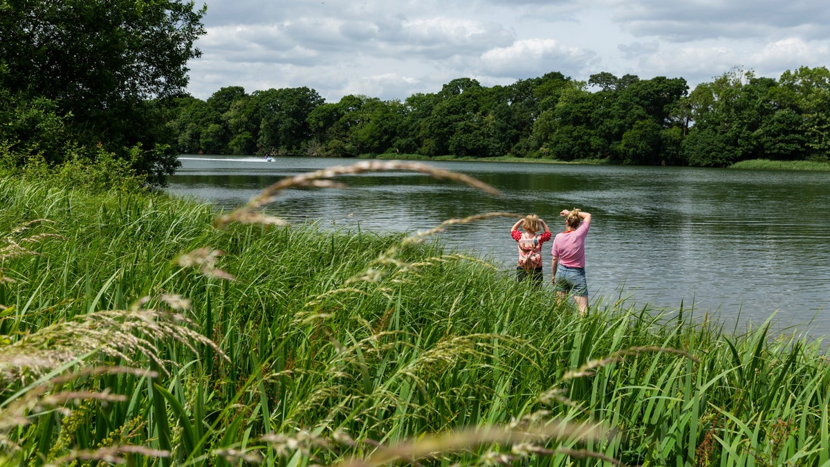 Curbridge Nature Reserve | Hampshire | National Trust
