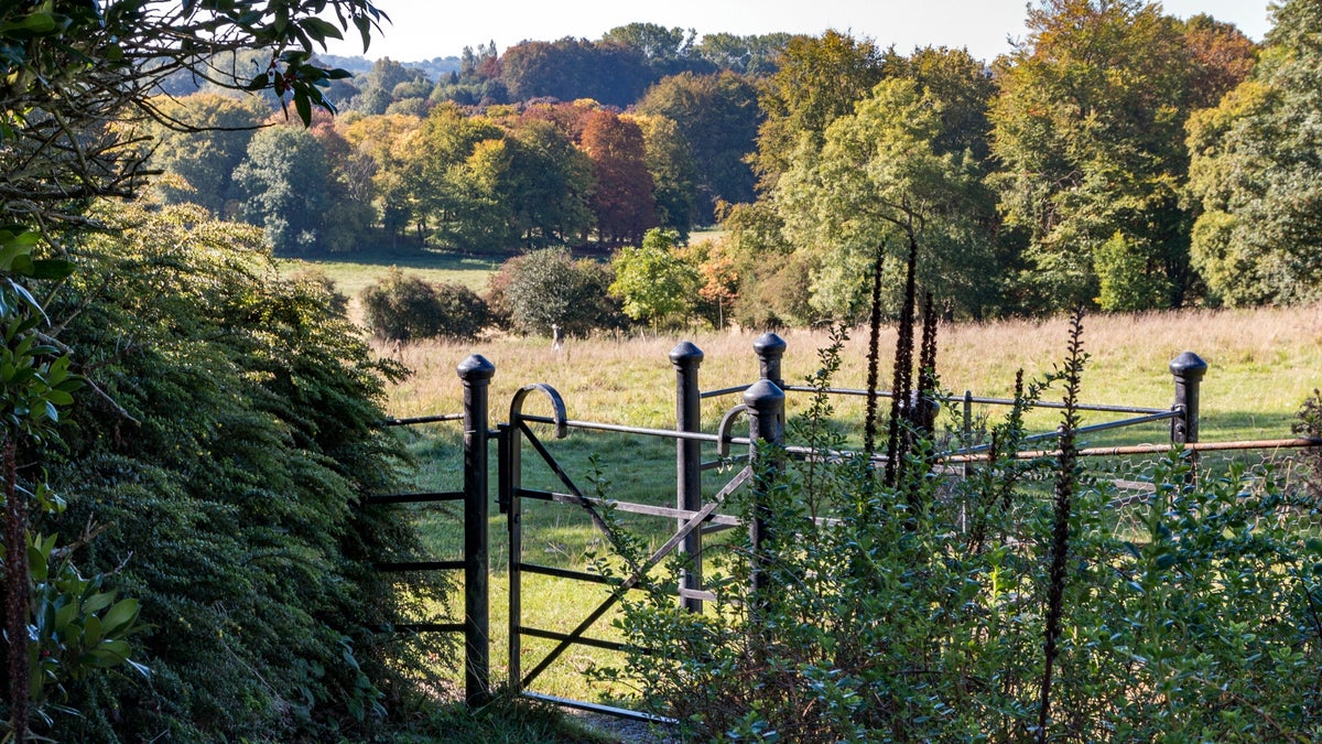 Top walks in Hampshire | National Trust