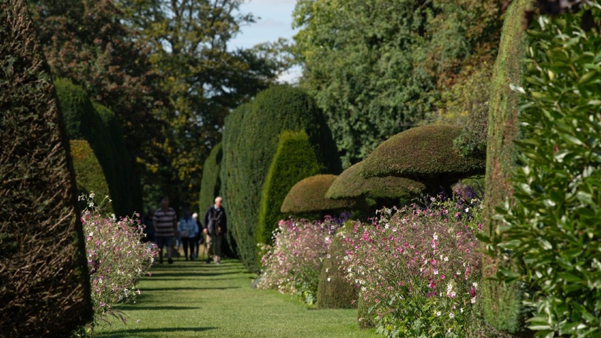 Hinton Ampner | Hampshire | National Trust