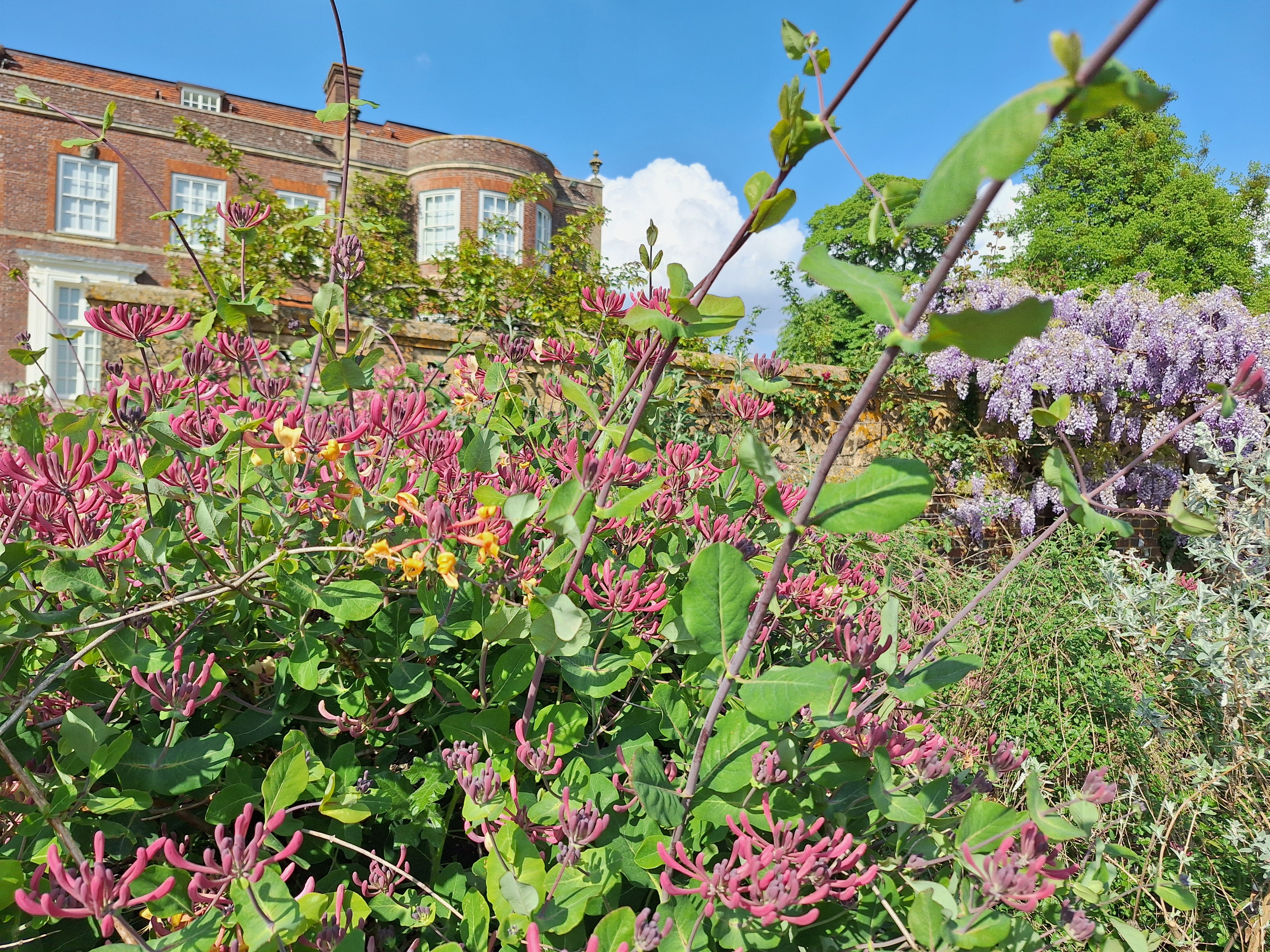 The house at Hinton Ampner | Hampshire | National Trust