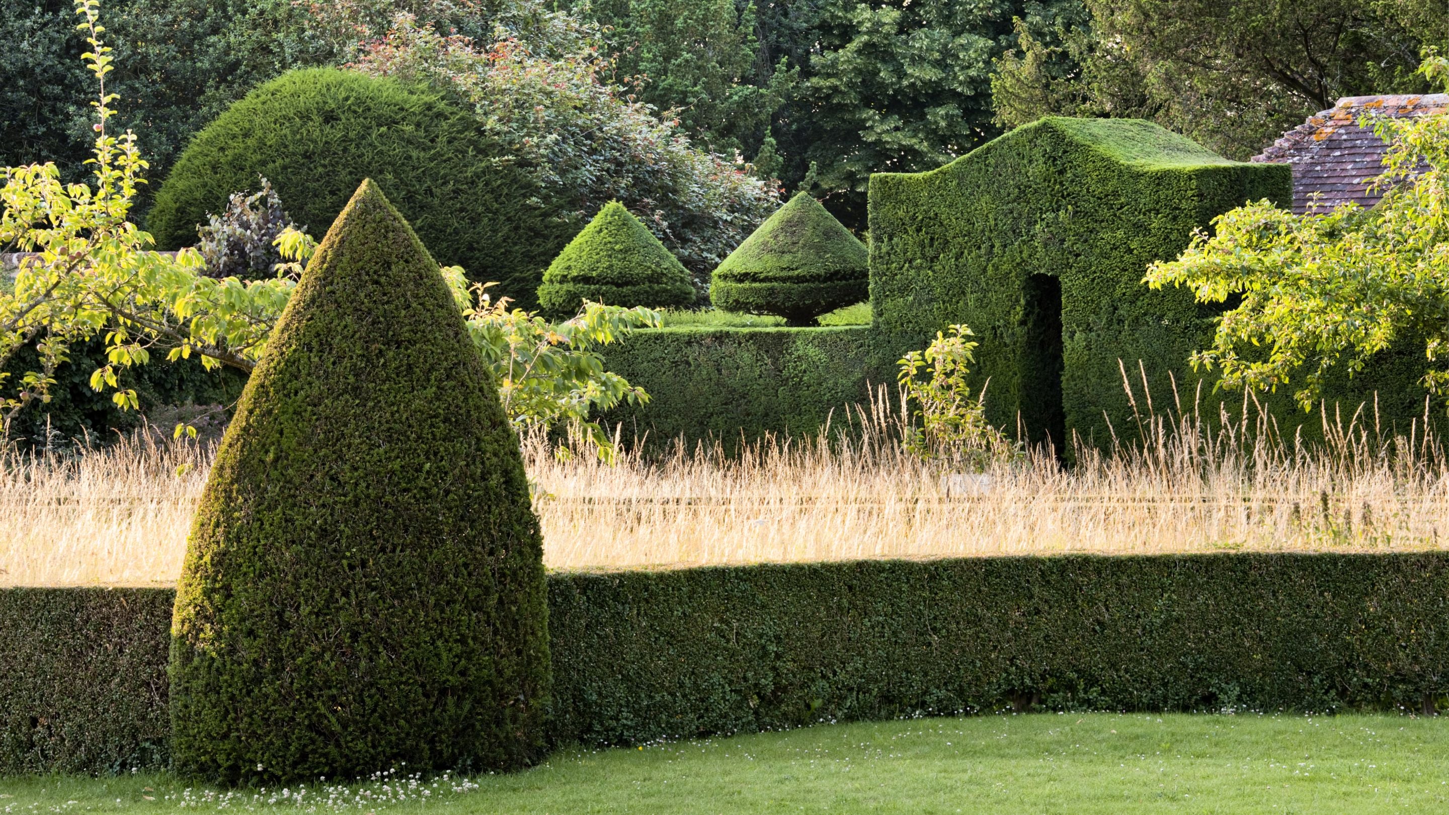 The history of Hinton Ampner | Hampshire | National Trust