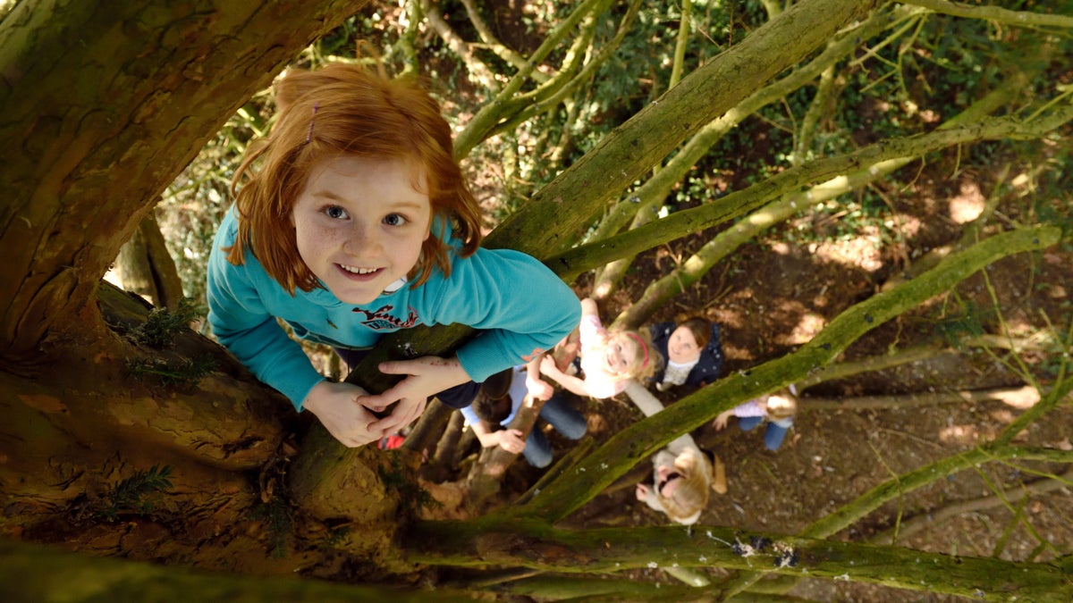 Celebrating trees │Lake District | National Trust