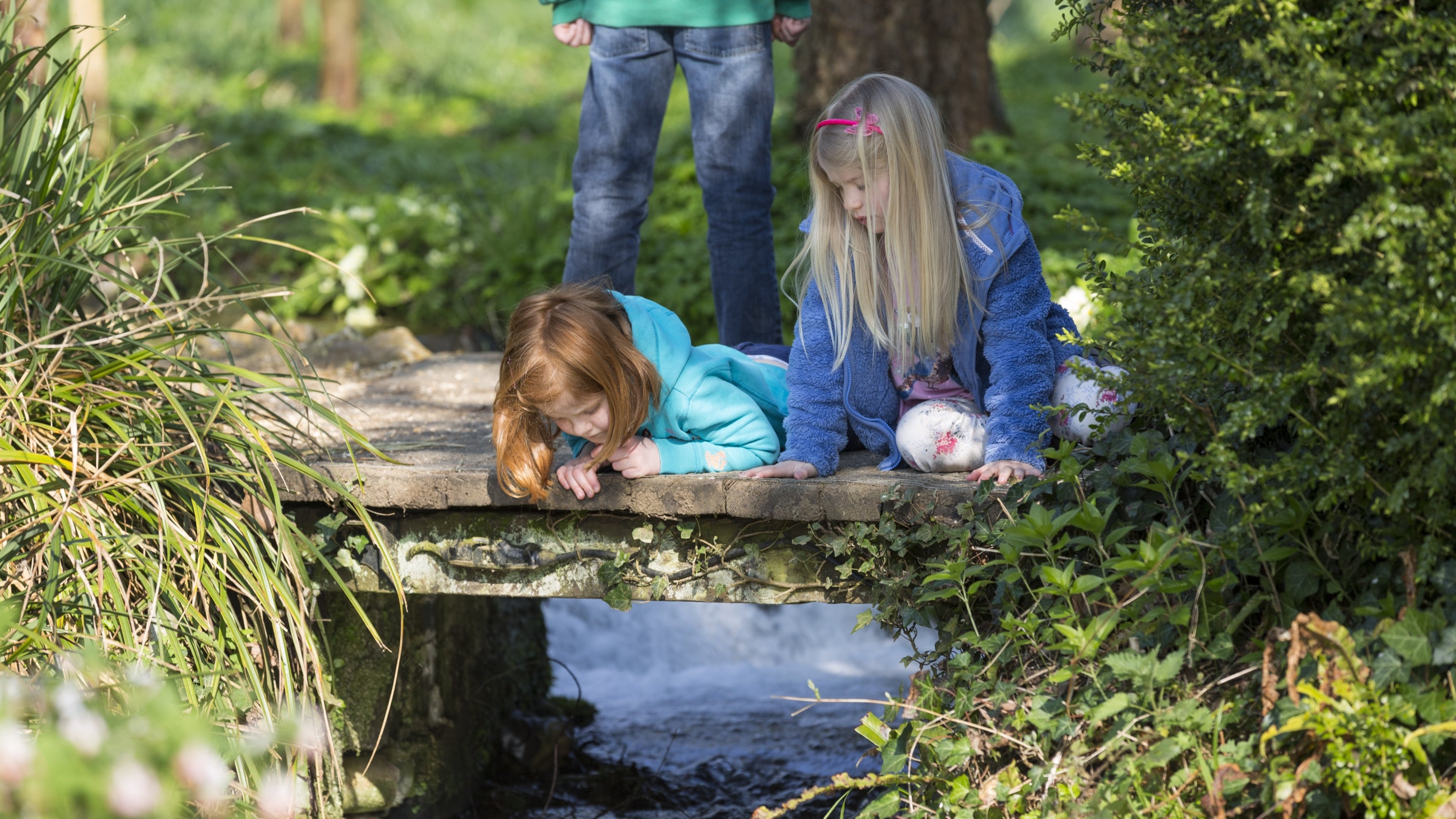 Family-friendly | Hampshire | National Trust