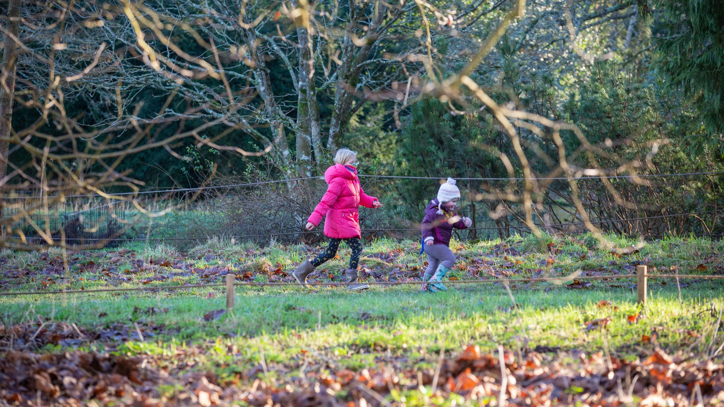 Mottisfont's house and gallery | Hampshire | National Trust