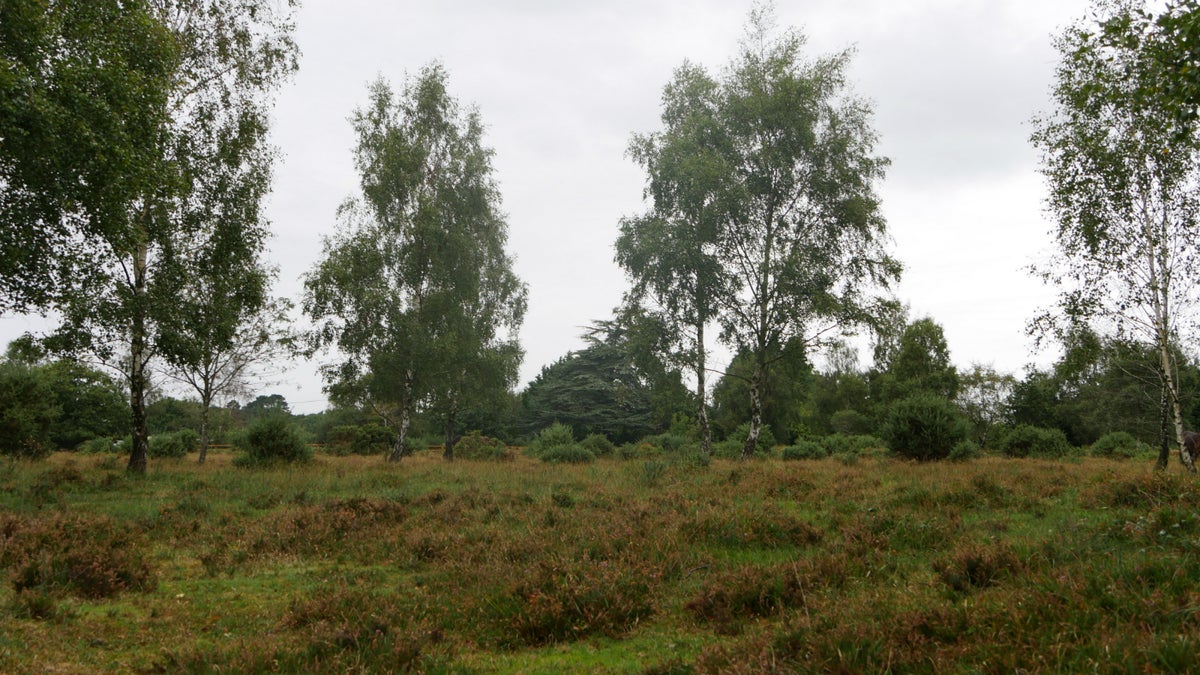 A short stroll around Hightown | National Trust