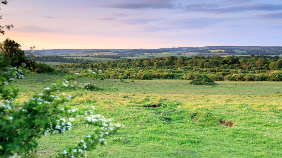 Visiting Stockbridge Down | Hampshire | National Trust