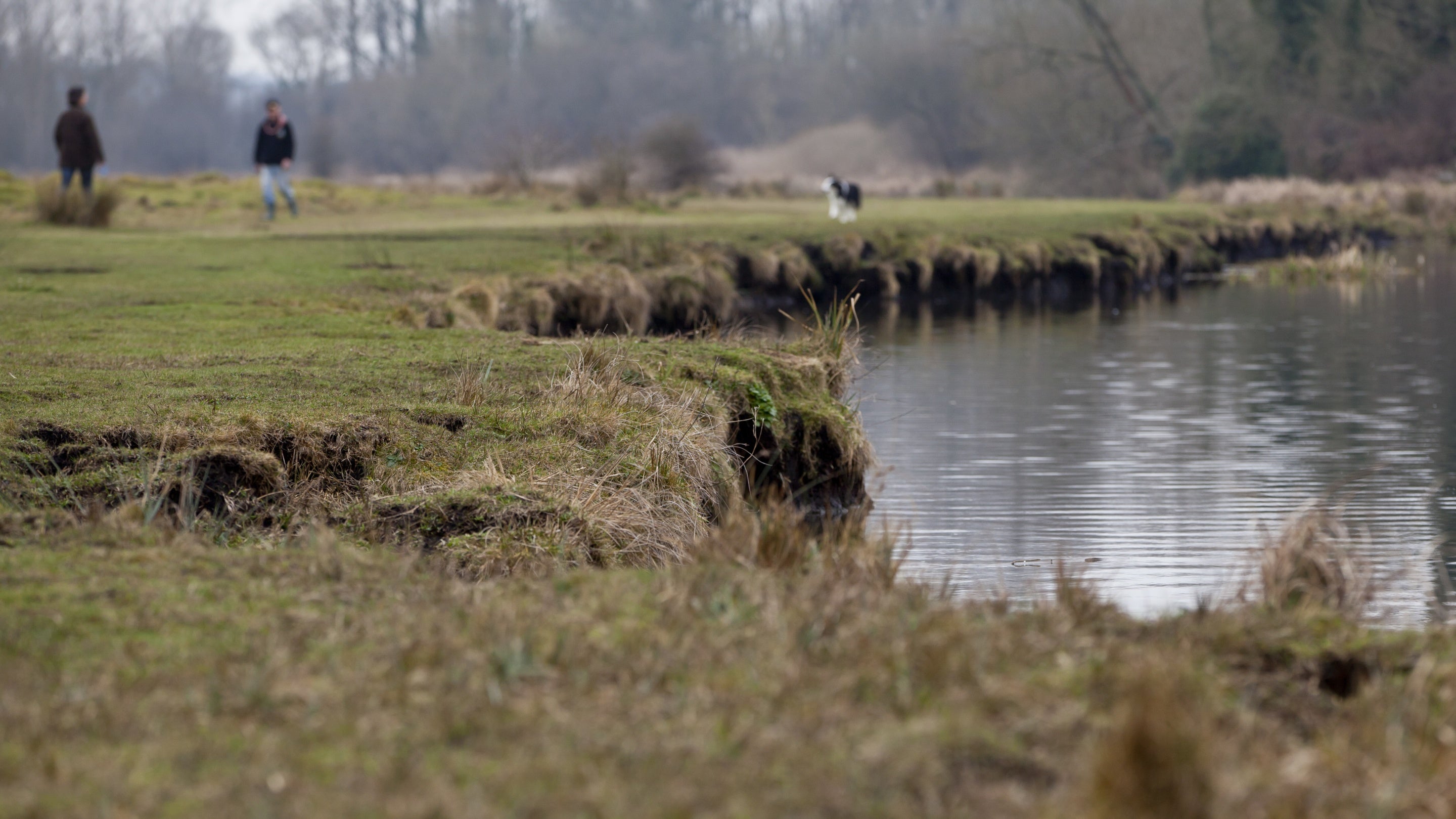 Stockbridge Marsh | Hampshire | National Trust