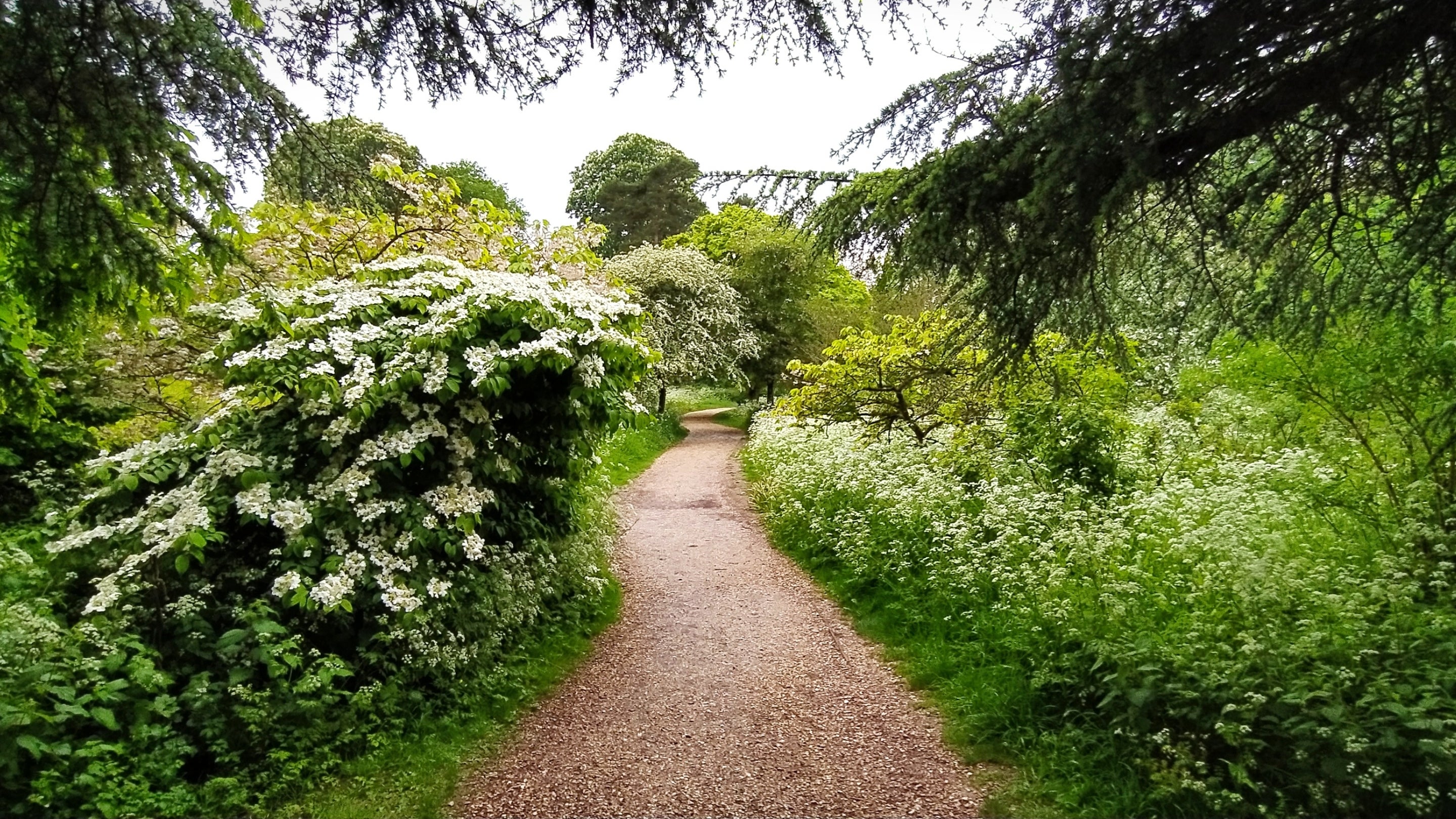 The Vyne | Hampshire | National Trust
