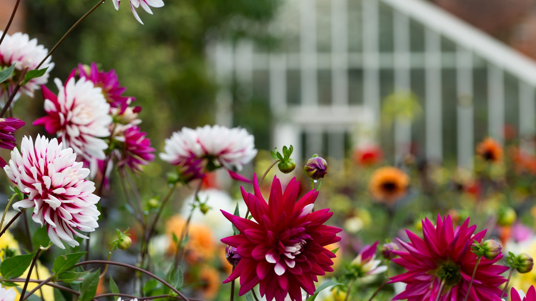 Visiting The Vyne's garden | Hampshire | National Trust