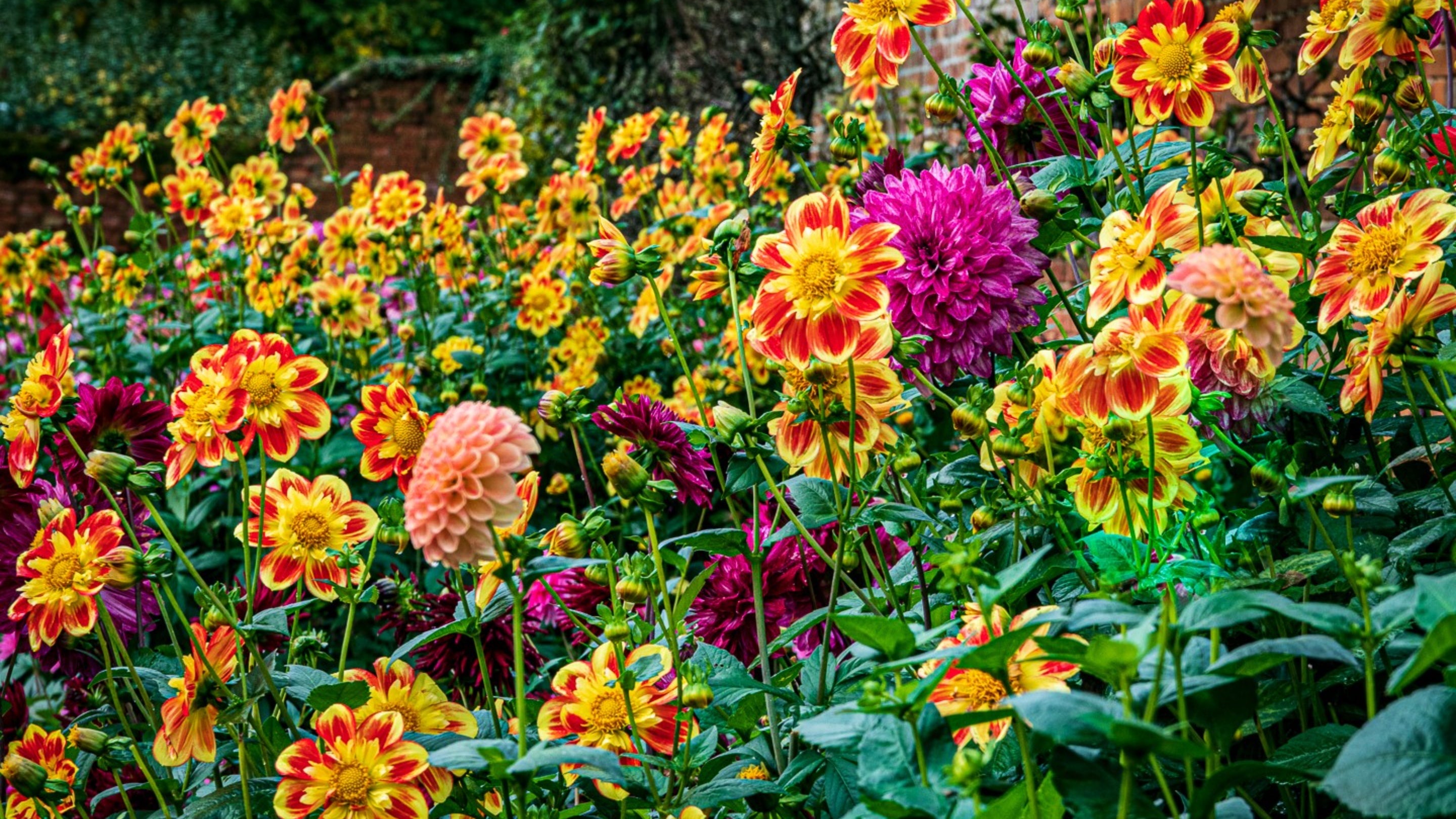 Visiting The Vyne house | Hampshire | National Trust