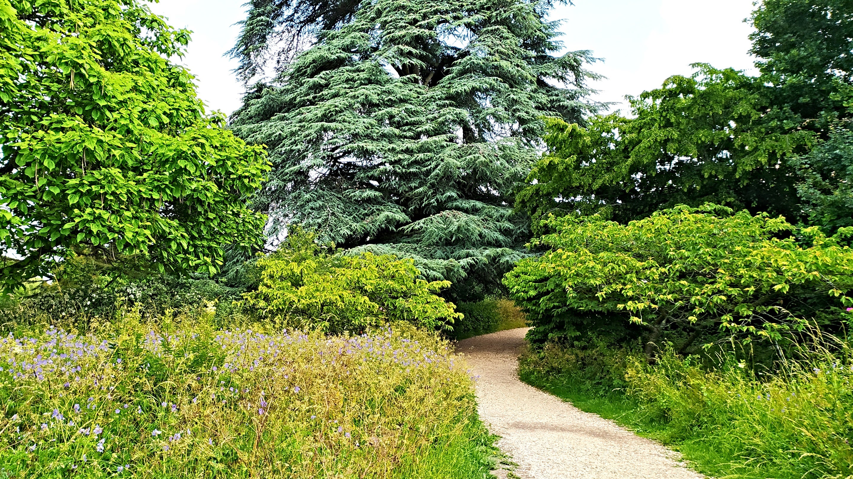 The Vyne | Hampshire | National Trust