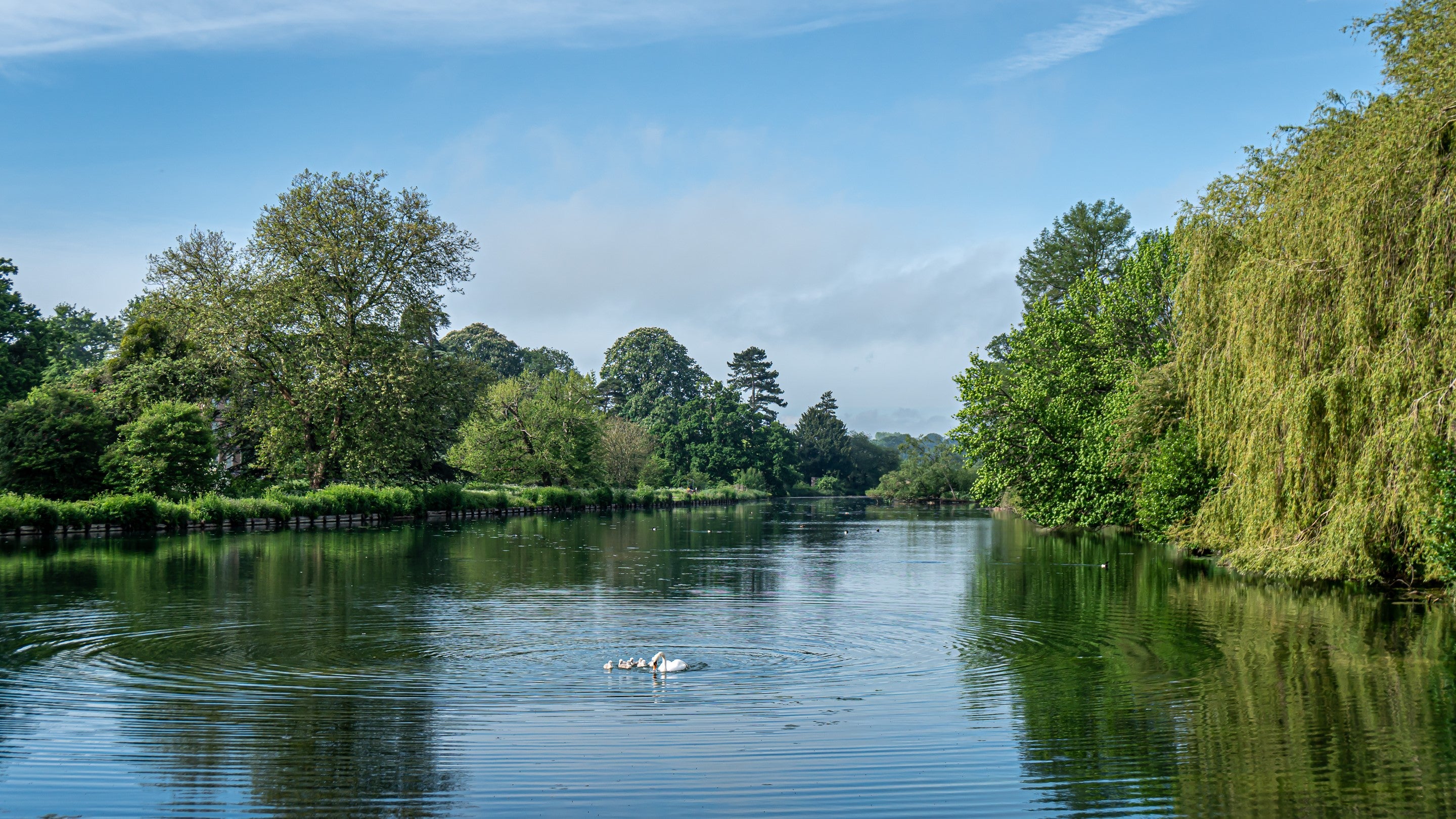 The Vyne's history │ Hampshire | National Trust