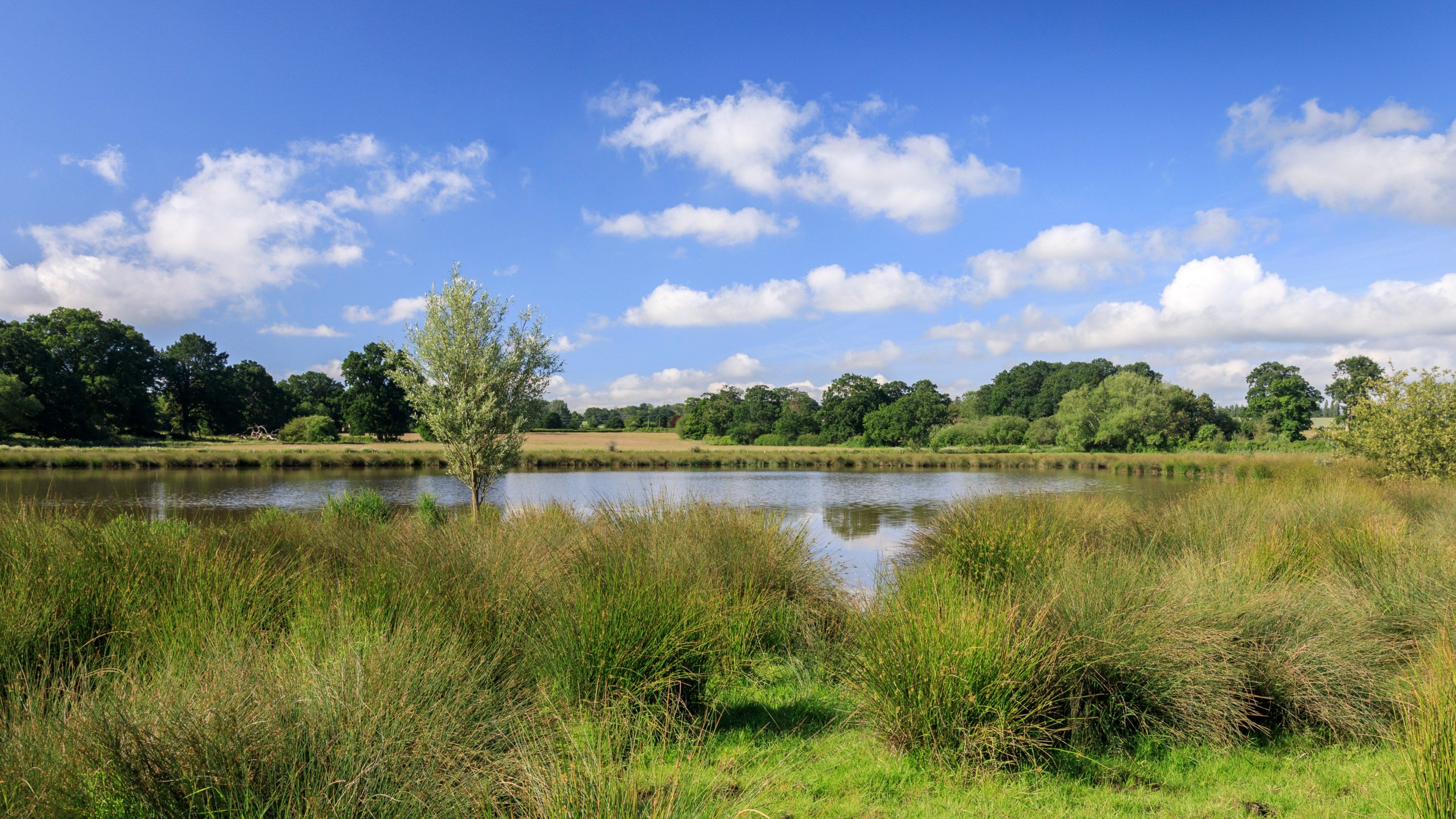 Visiting The Vyne’s estate| Hampshire | National Trust
