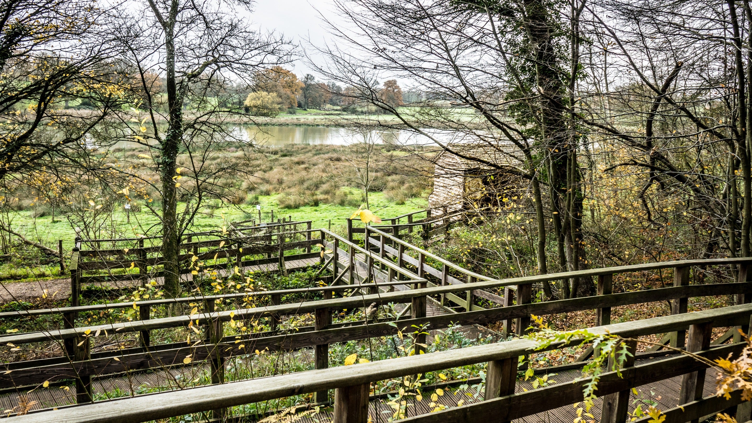 Visiting The Vyne's garden | Hampshire | National Trust