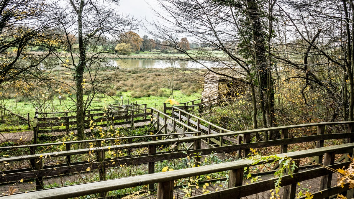 Visiting The Vyne’s estate| Hampshire | National Trust