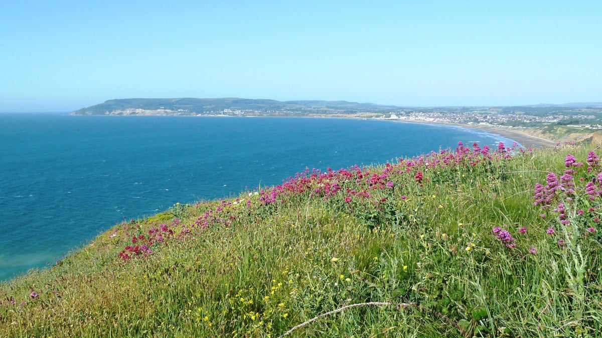 Circumnavigate Culver Down trail | National Trust