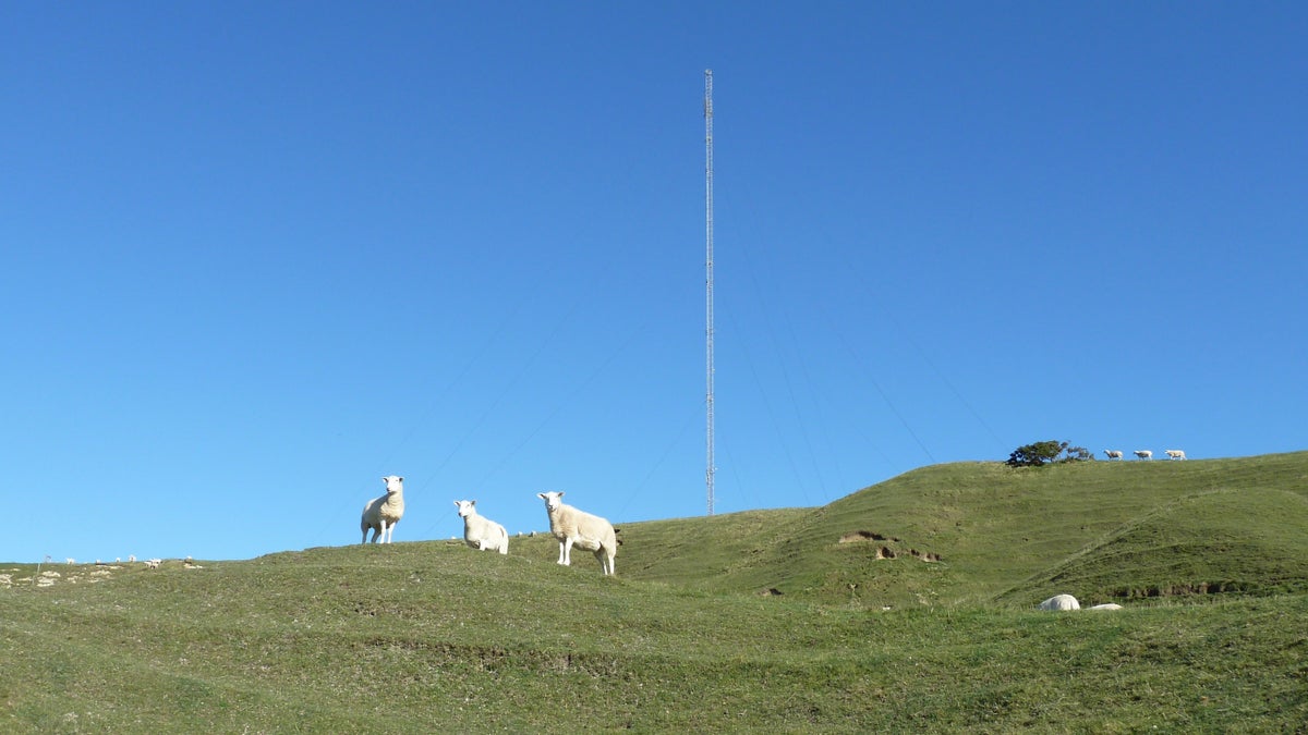 Long Chillerton Down walk | Isle of Wight | National Trust