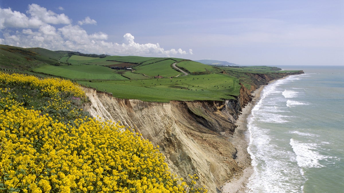 Compton Bay and Downs | Isle of Wight | National Trust