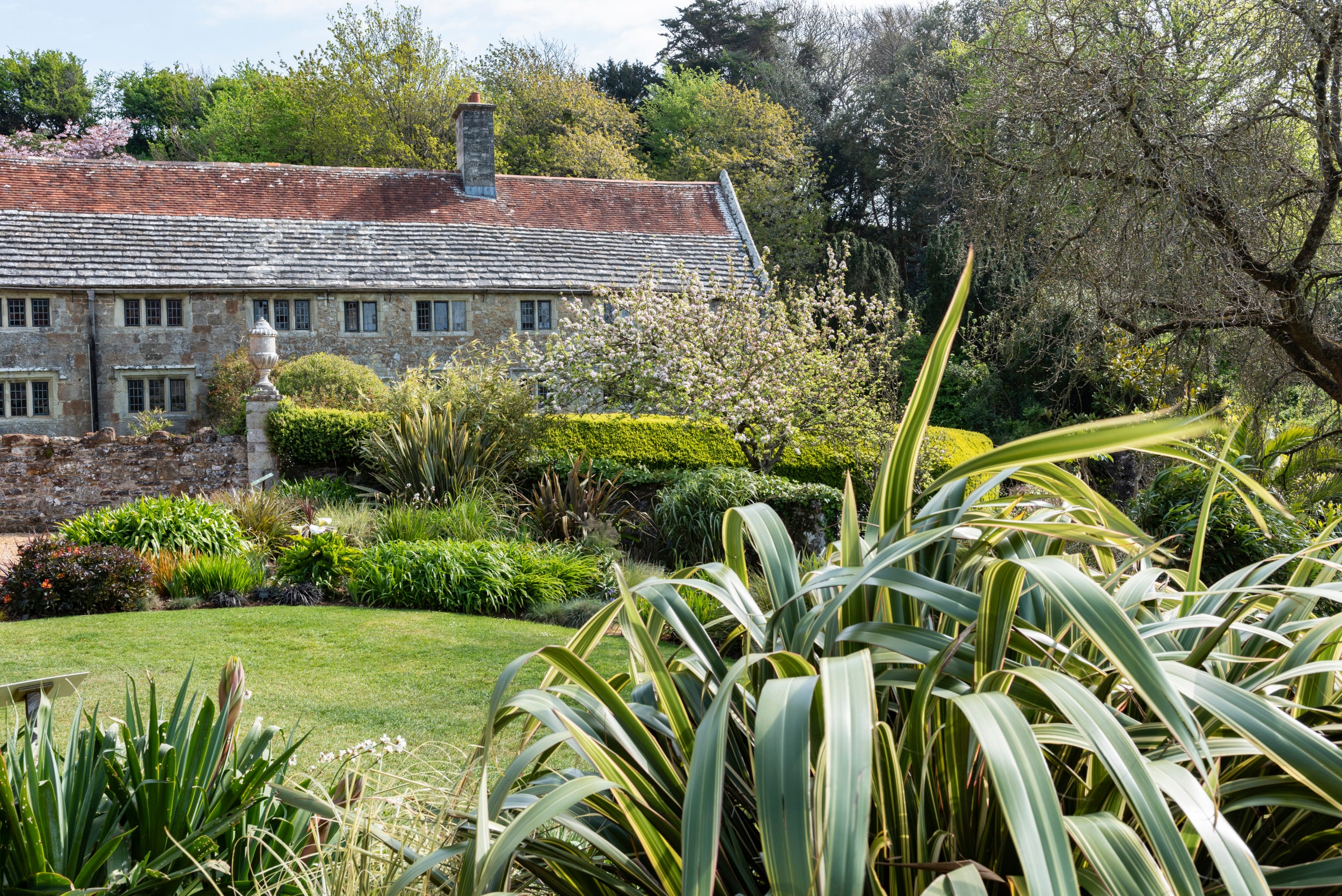 The garden at Mottistone | Isle of Wight | National Trust