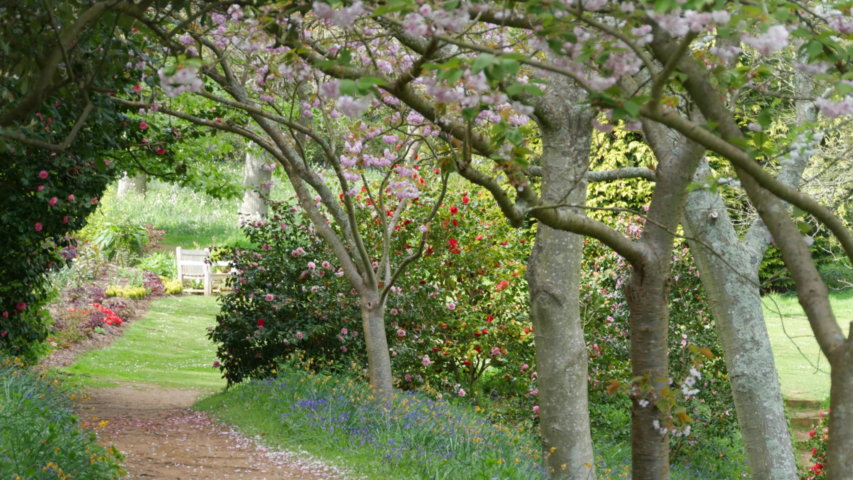 Mottistone Gardens | Isle of Wight | National Trust