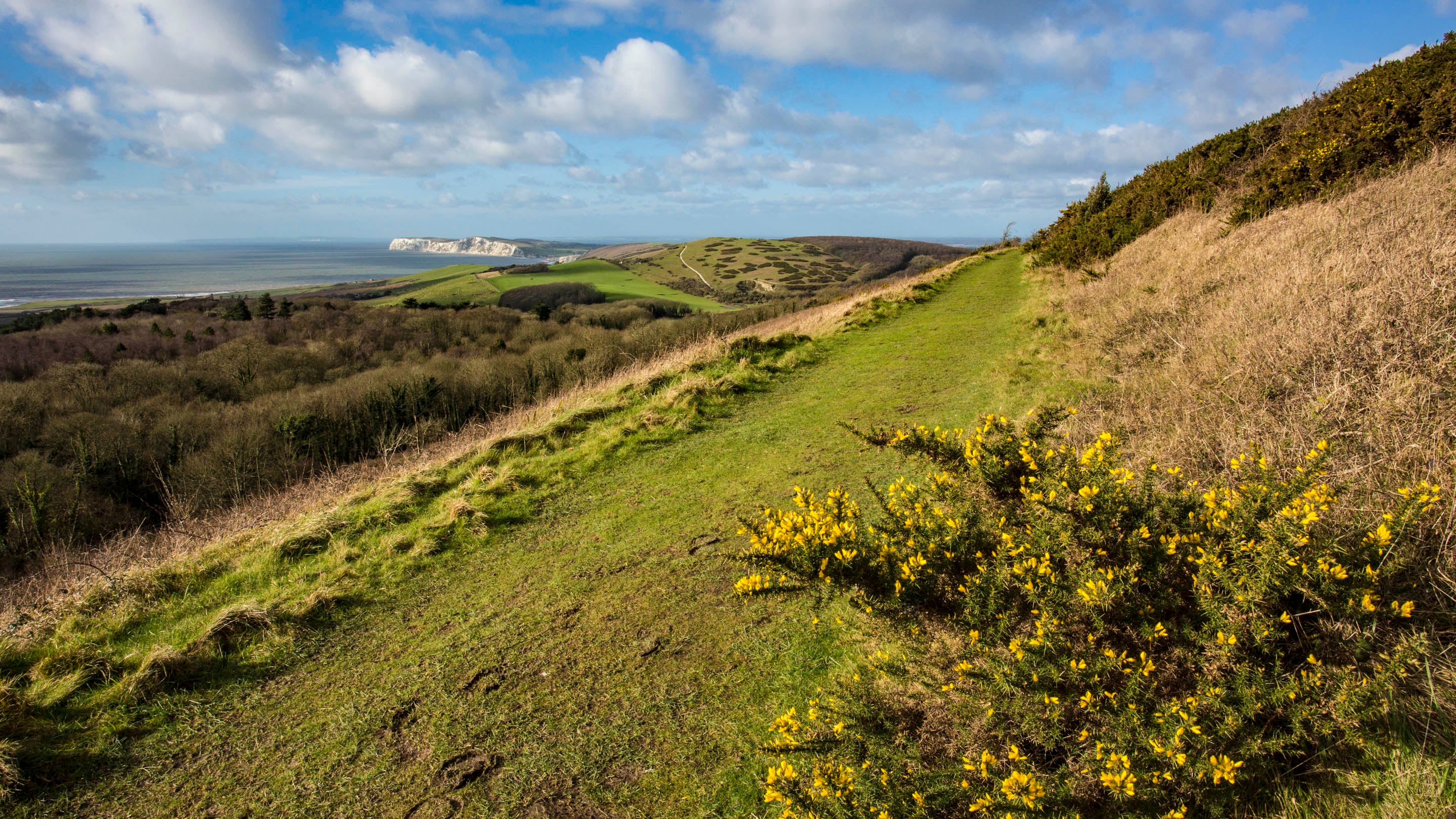 Explore Mottistone's estate | Isle of Wight | National Trust