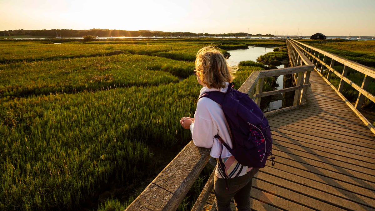 Countryside and woodland on Isle of Wight | National Trust