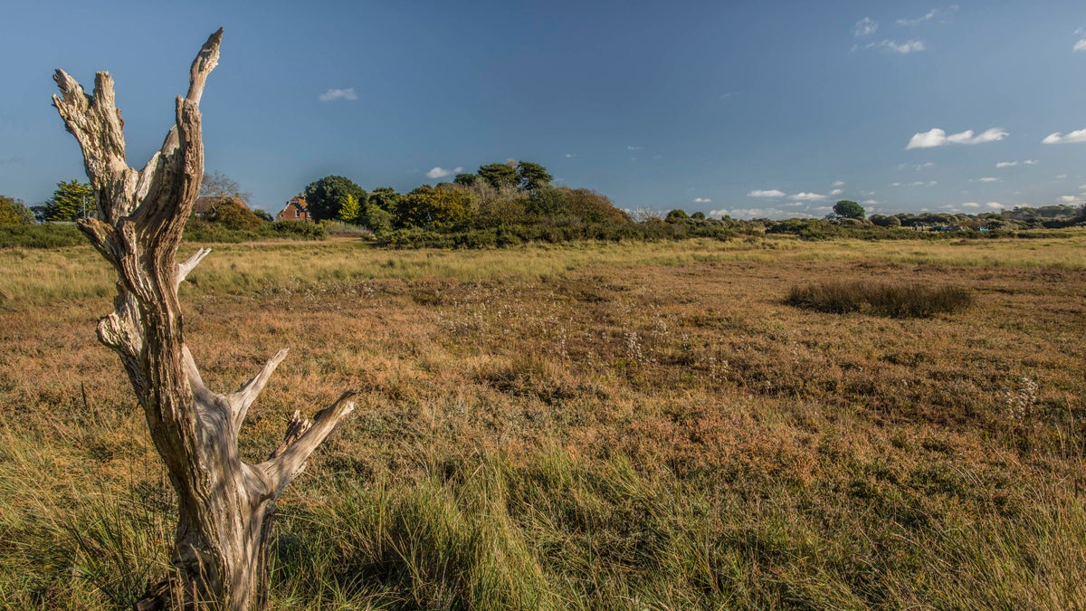 St Helens Duver’s history │Isle of Wight | National Trust