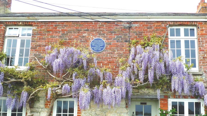 Down on the Duver walk | Isle of Wight | National Trust