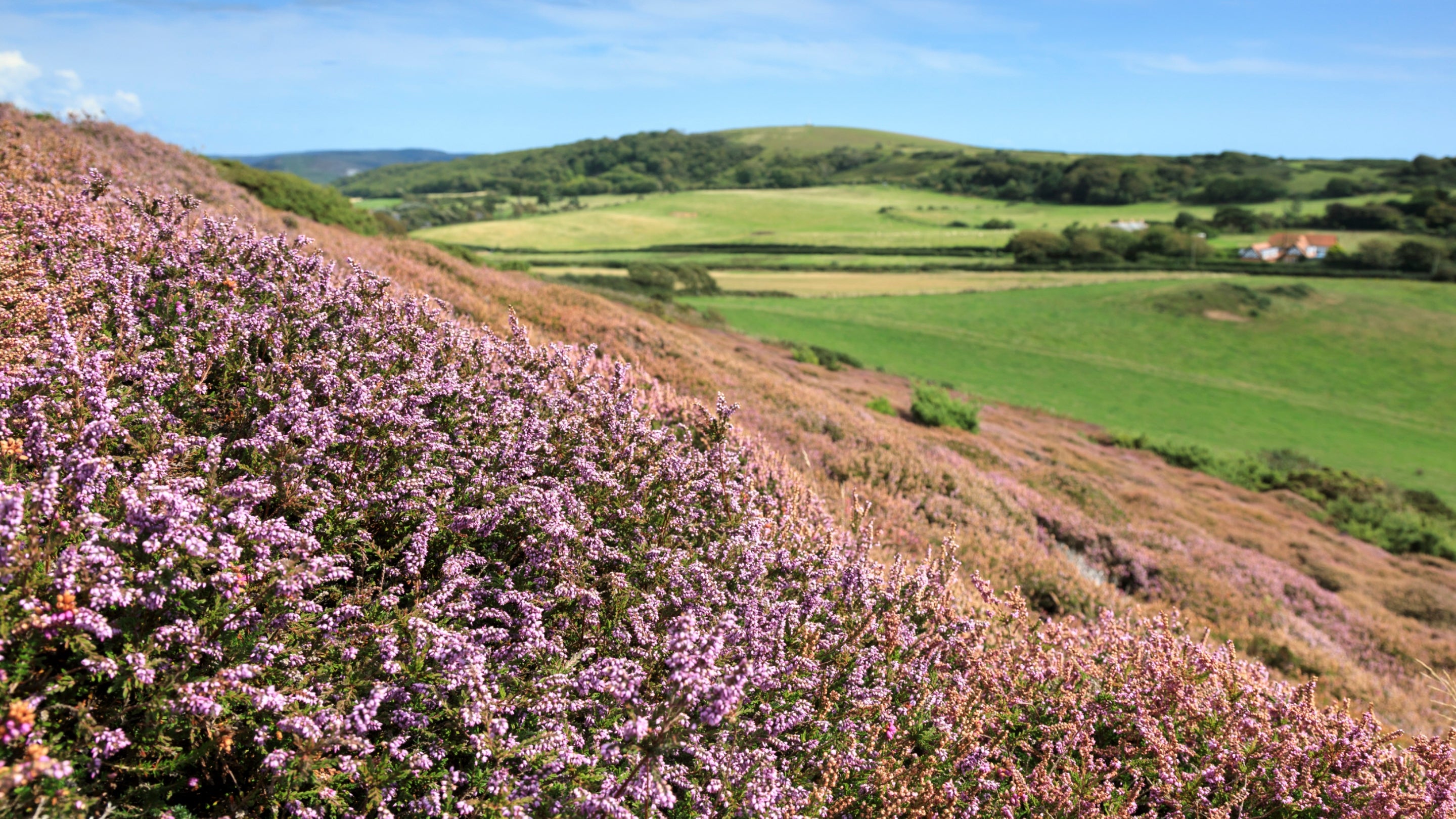 Best hill and mountain walks in the UK | National Trust
