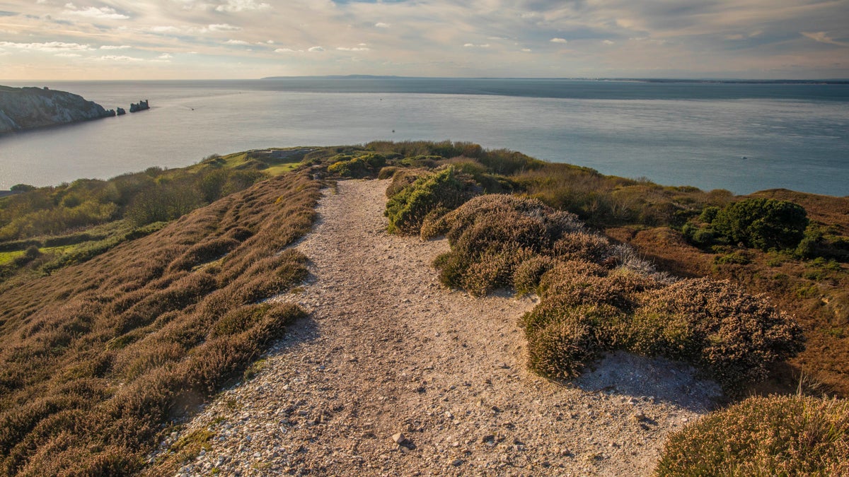 Headon Warren walk │ Isle of Wight | National Trust