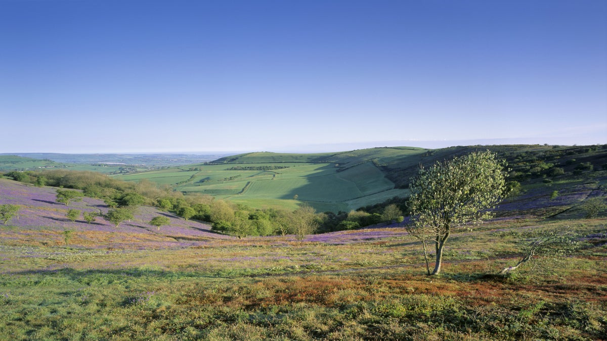 Isle of Wight coast & countryside car parks | National Trust