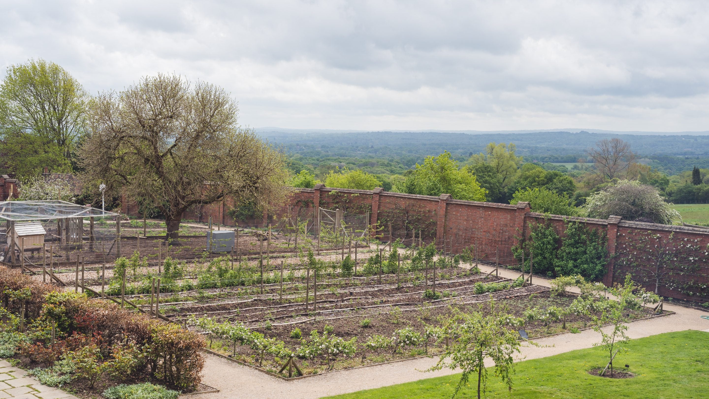 Growing fruit and veg at Chartwell | Kent | National Trust