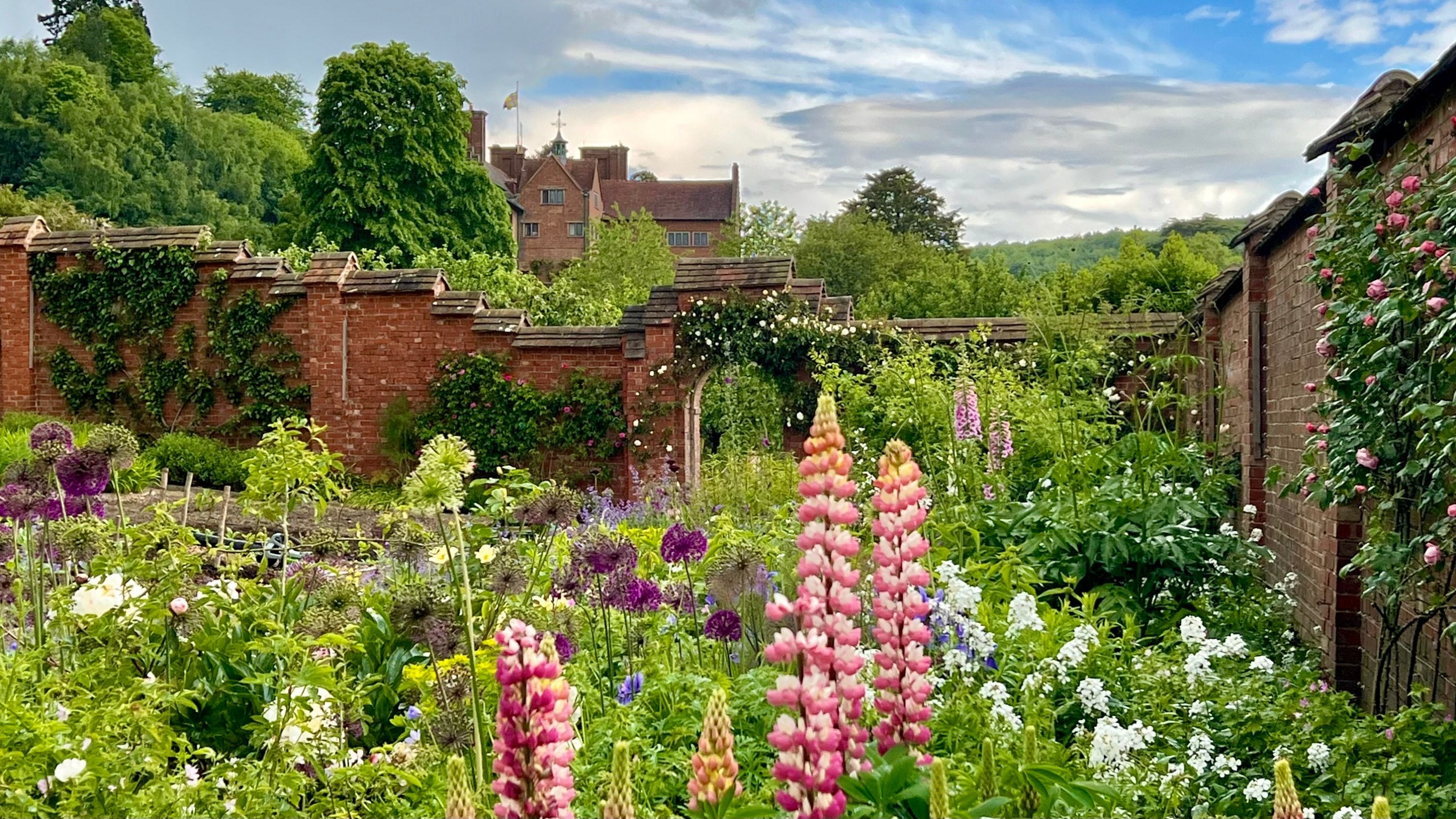 Plan your visit to Chartwell | Kent | National Trust