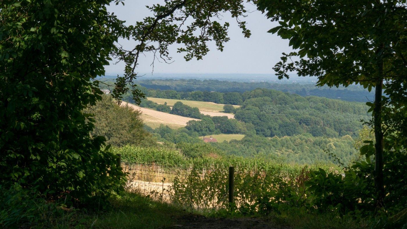 Top walks in Kent | National Trust