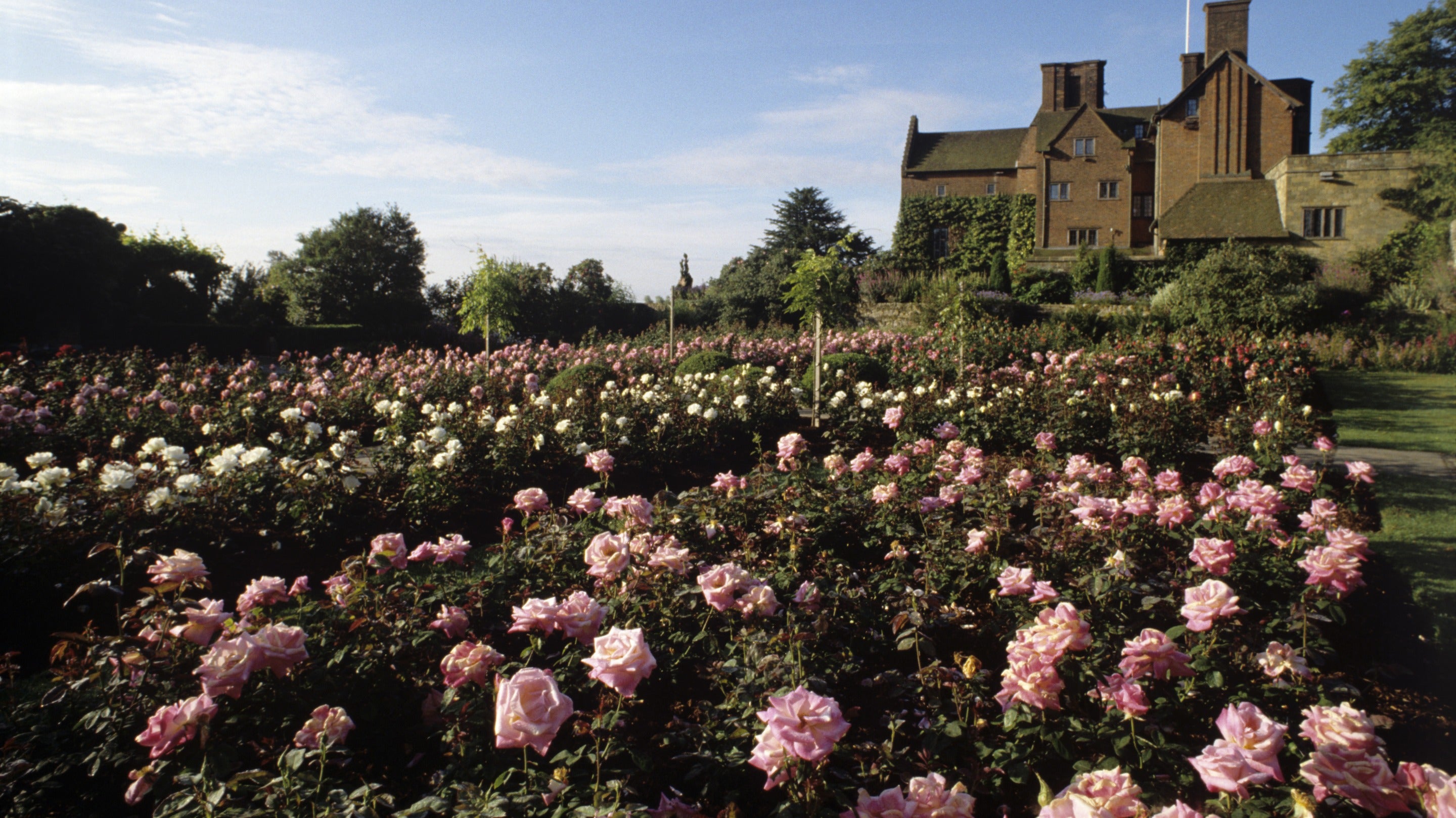 Visiting Oldbury Hill | Kent | National Trust