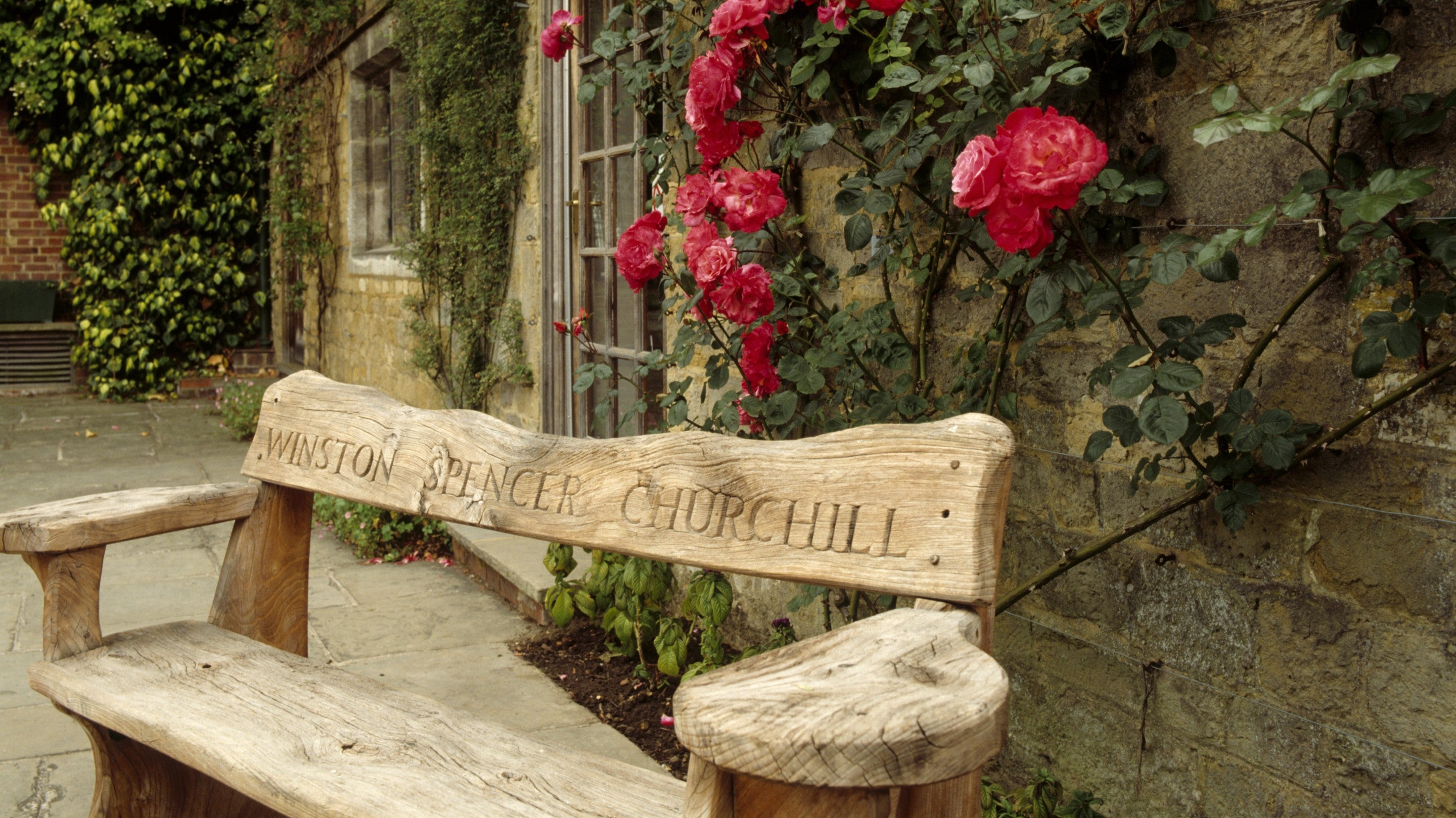 History of Chartwell's roses | Kent | National Trust