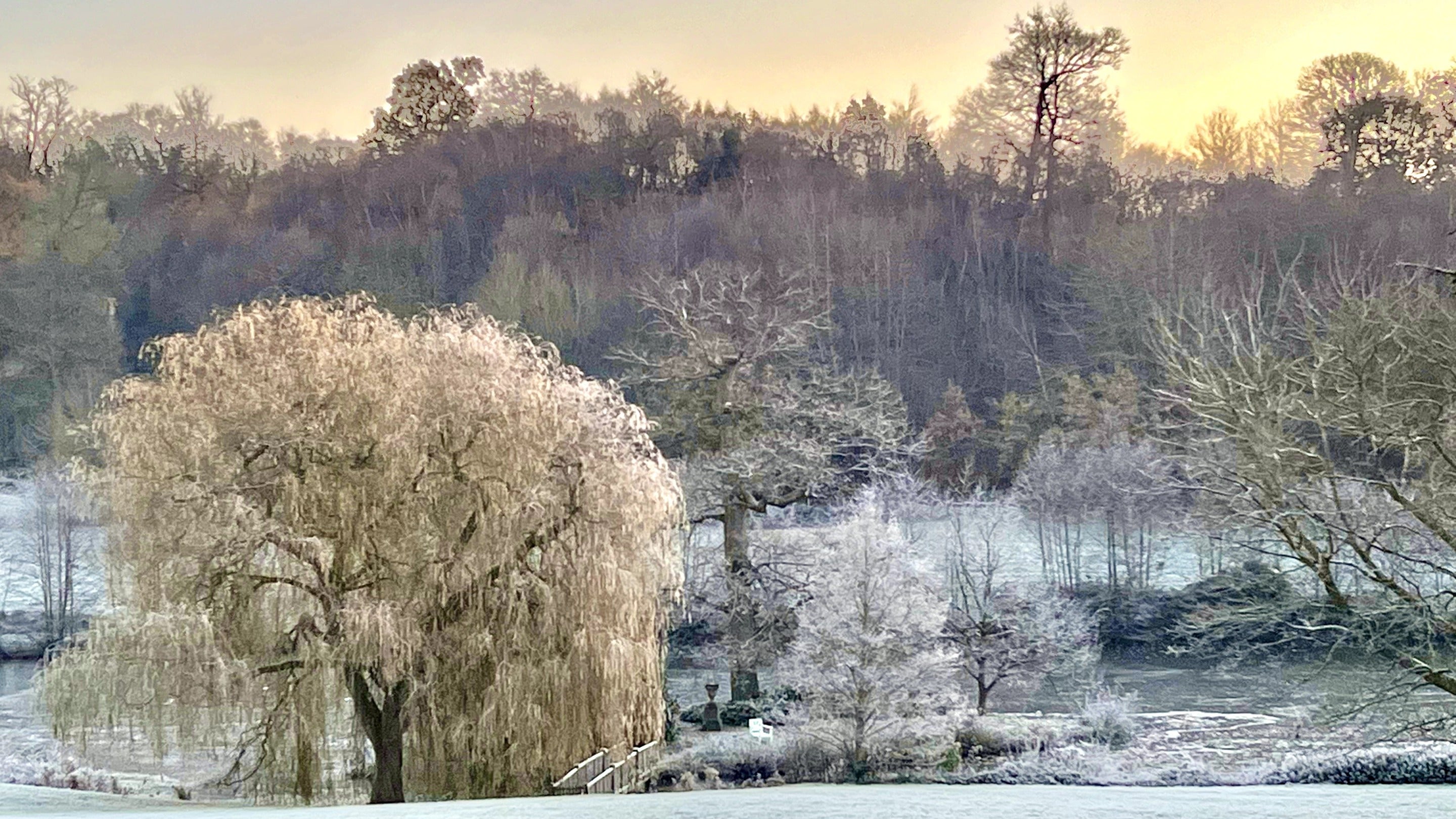 The garden at Chartwell | Kent | National Trust